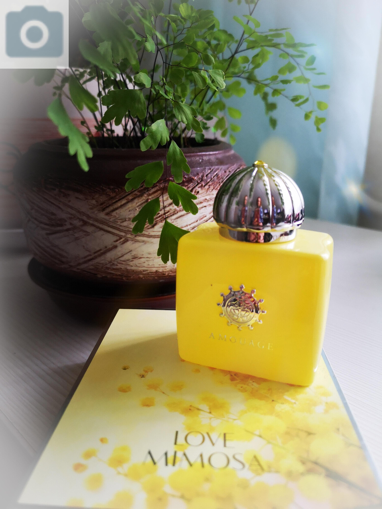 Love Mimosa Amouage perfume - a fragrance for women 2019