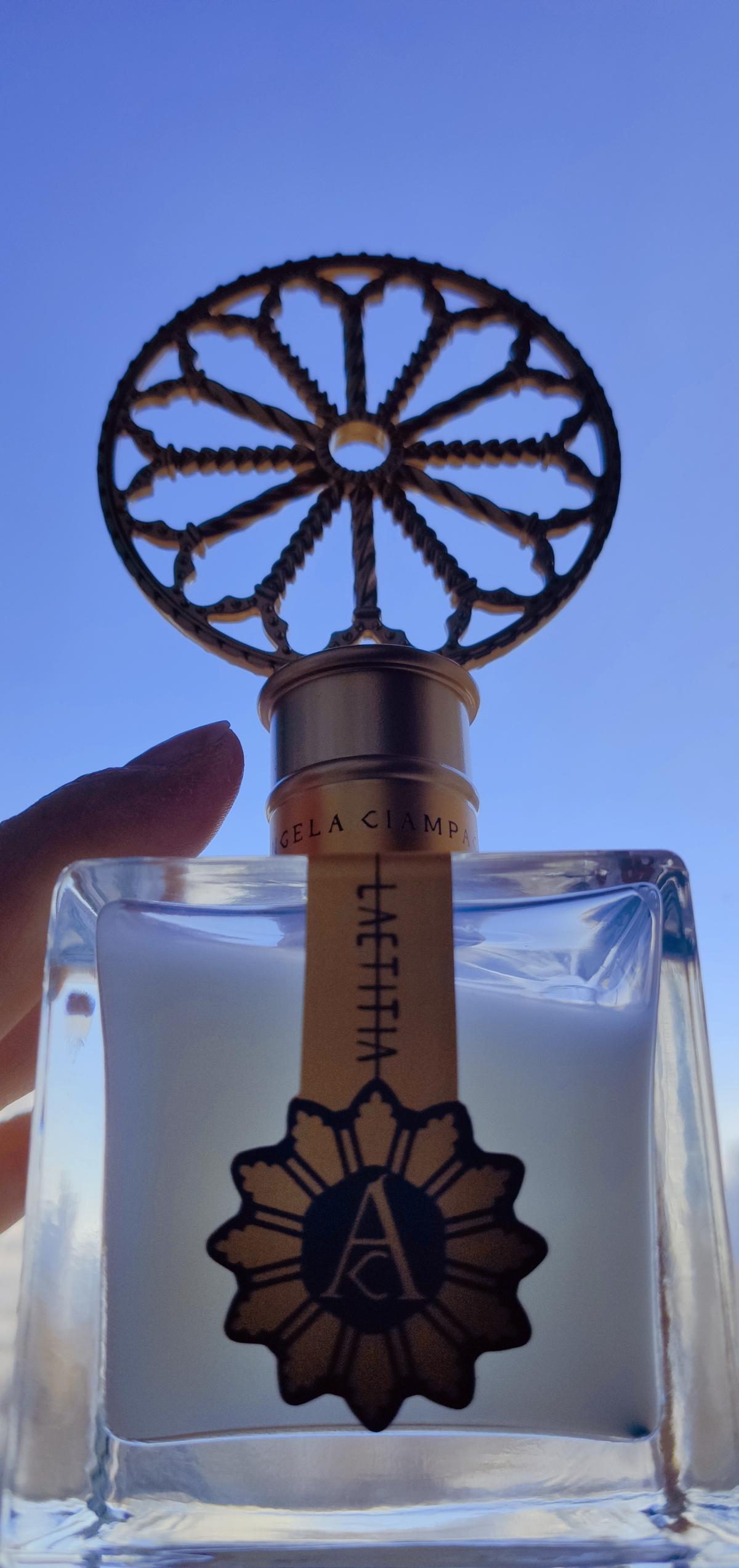 Laetitia Angela Ciampagna perfume - a fragrance for women and men 2018