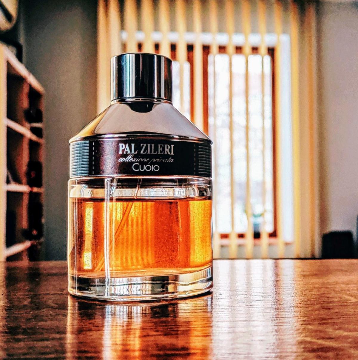 Cuoio Pal Zileri cologne - a fragrance for men 2012