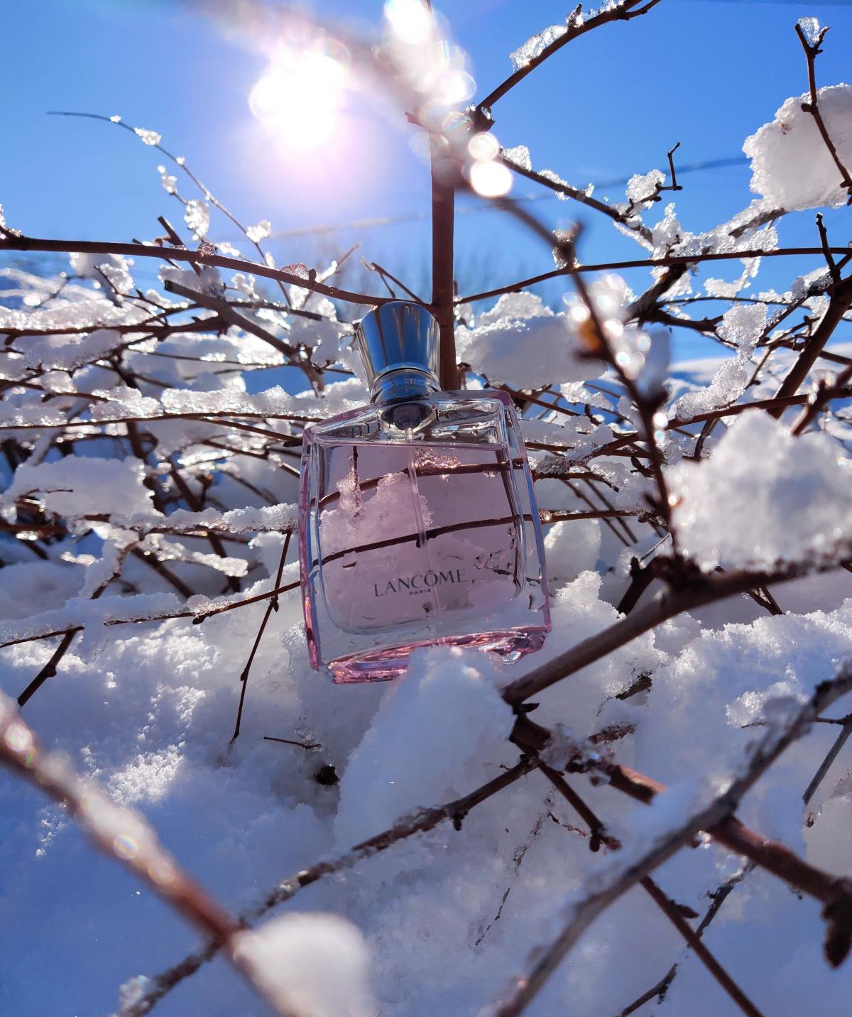 Miracle Lancôme perfume - a fragrance for women 2000