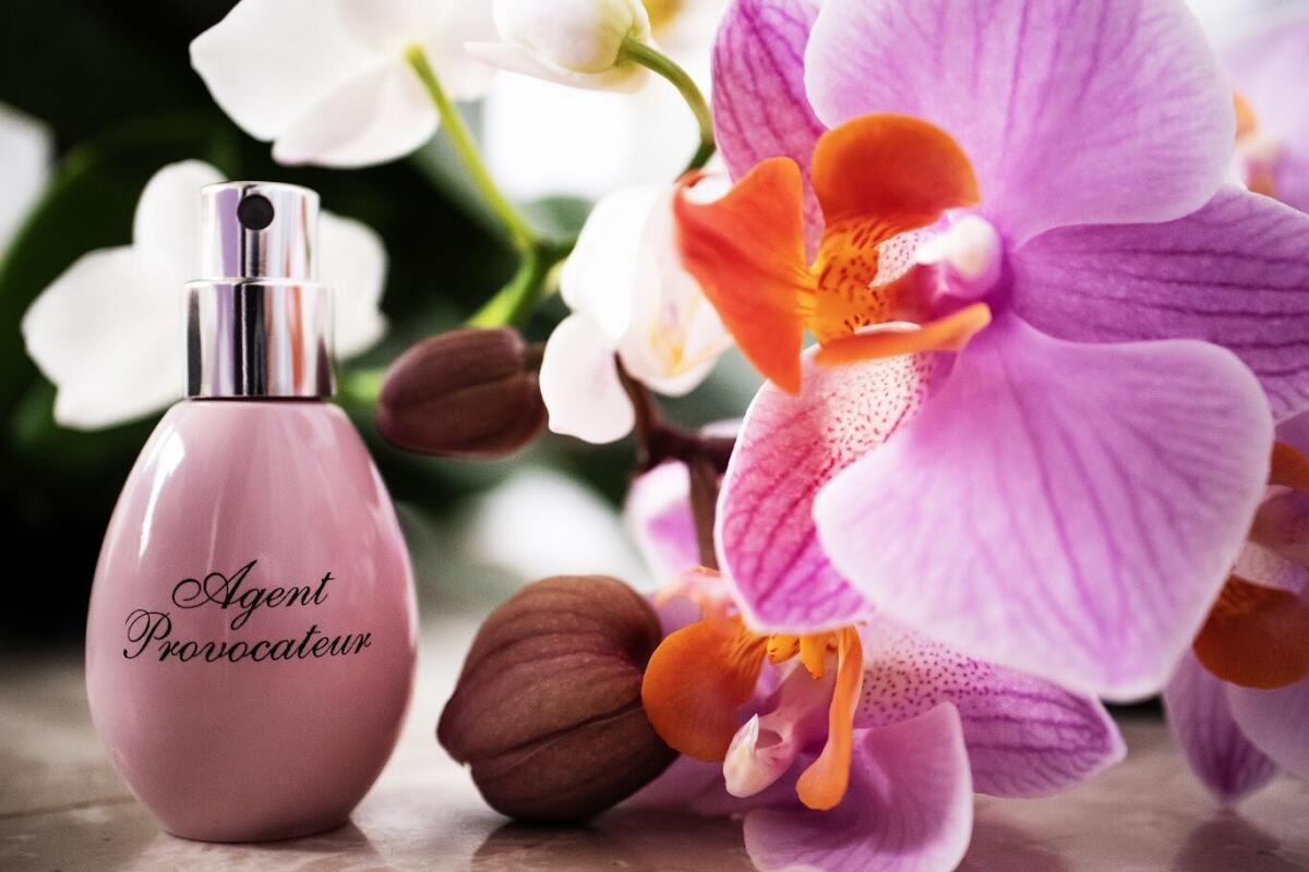 Agent Provocateur Agent Provocateur perfume - a fragrance for women 2000