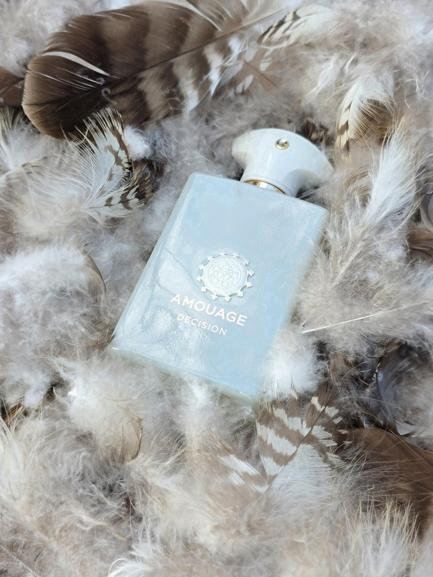 Decision Amouage perfume - a new fragrance for women and men 2025