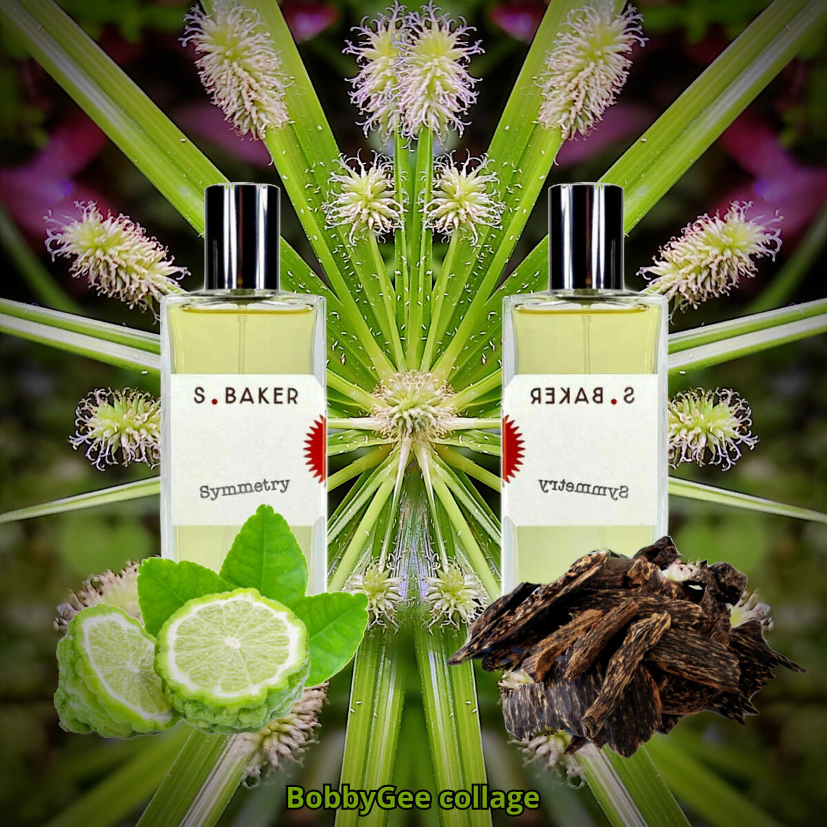 Symmetry Sarah Baker Perfumes perfume - a fragrance for women and men 2020