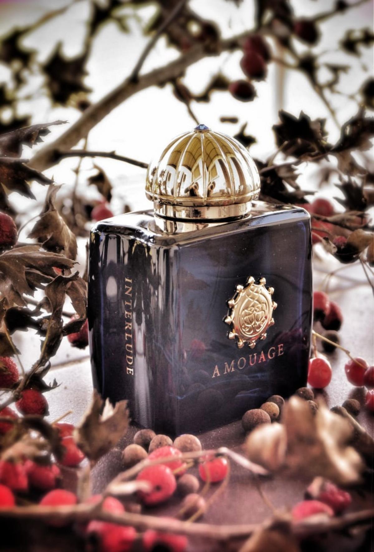 Interlude Woman Amouage perfume - a fragrance for women 2012