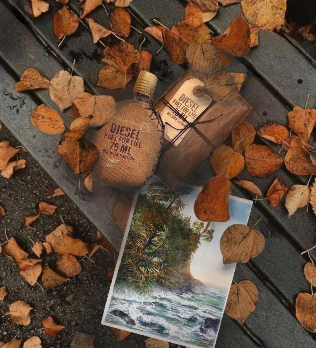 Fuel for Life Homme Diesel cologne - a fragrance for men 2007