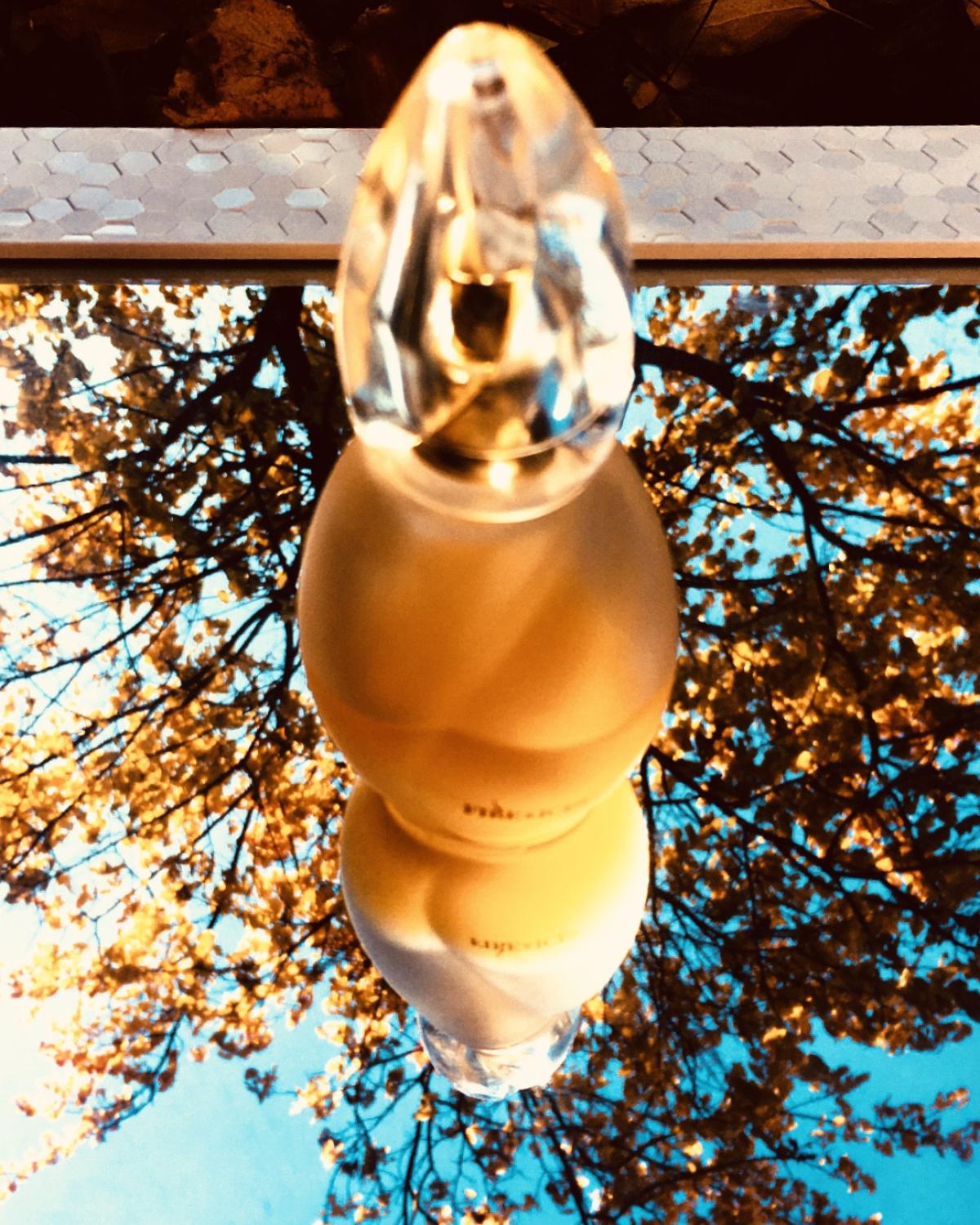 Fire & Ice Revlon perfume - a fragrance for women 1994