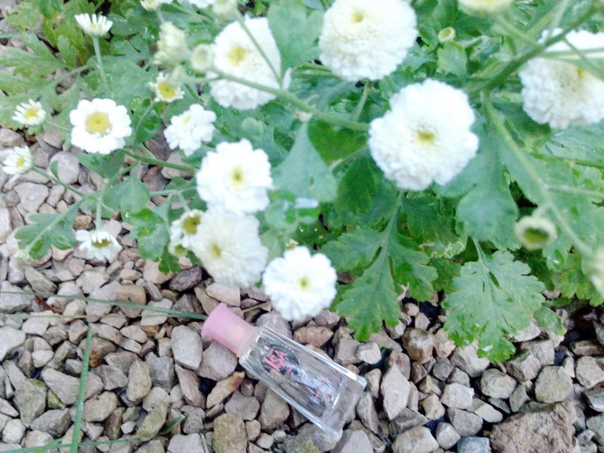 Isa Ulric de Varens perfume - a fragrância Feminino