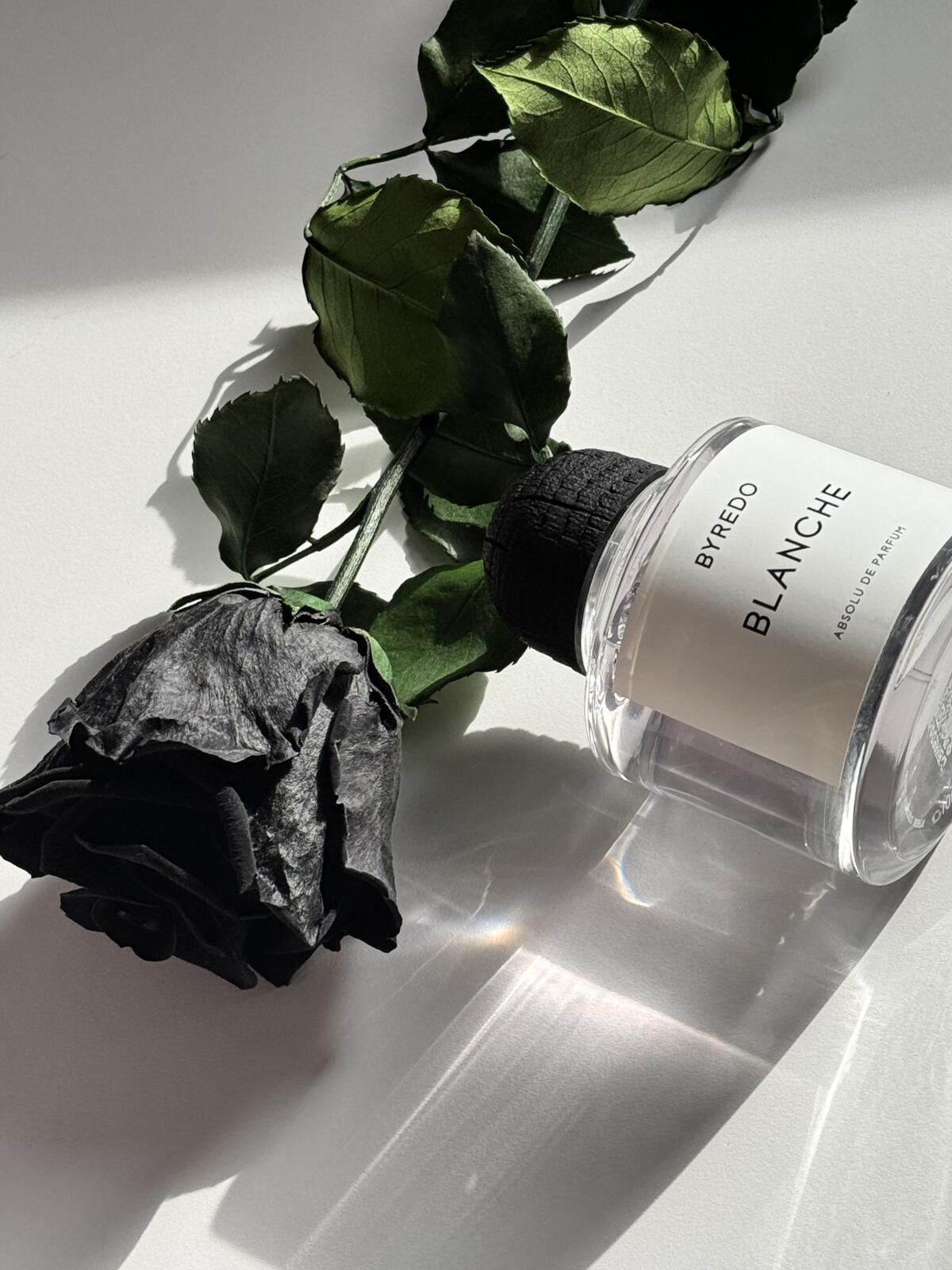 Blanche Absolu Byredo Parfum - ein neues Parfum für Frauen und Männer 2025