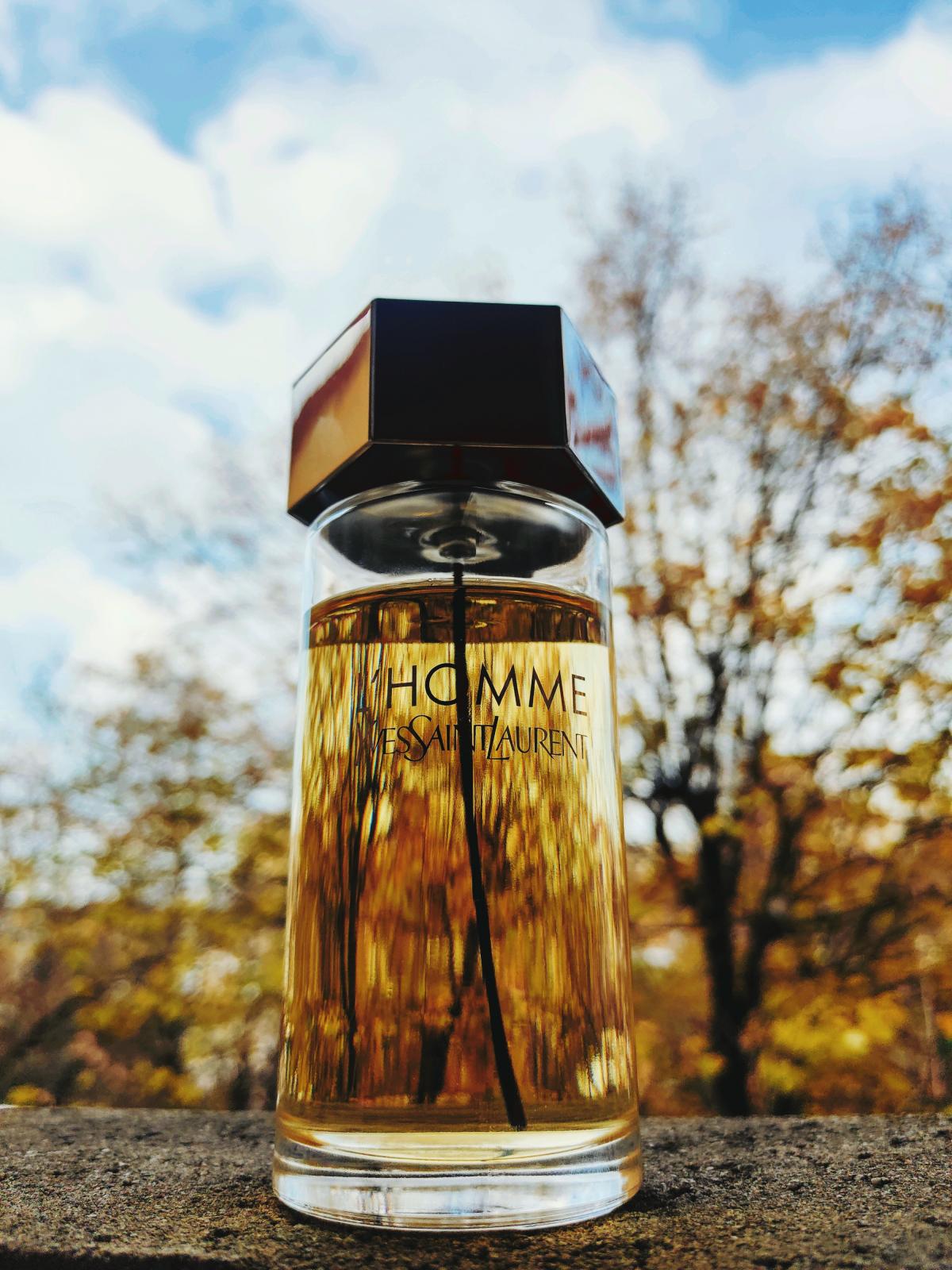 L'Homme Yves Saint Laurent cologne - a fragrance for men 2006