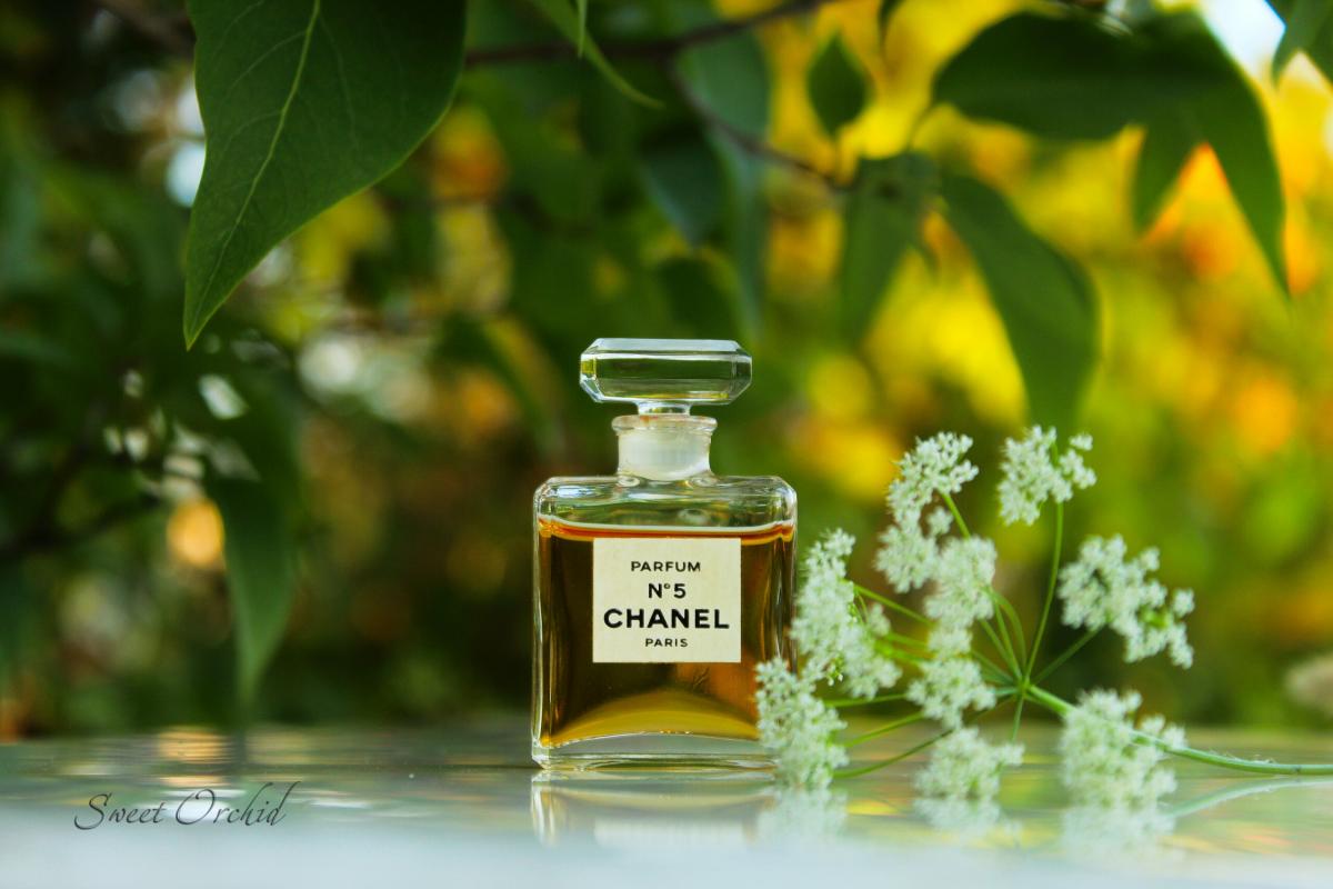 Chanel No 5 Parfum Chanel perfume - a fragrance for women 1921