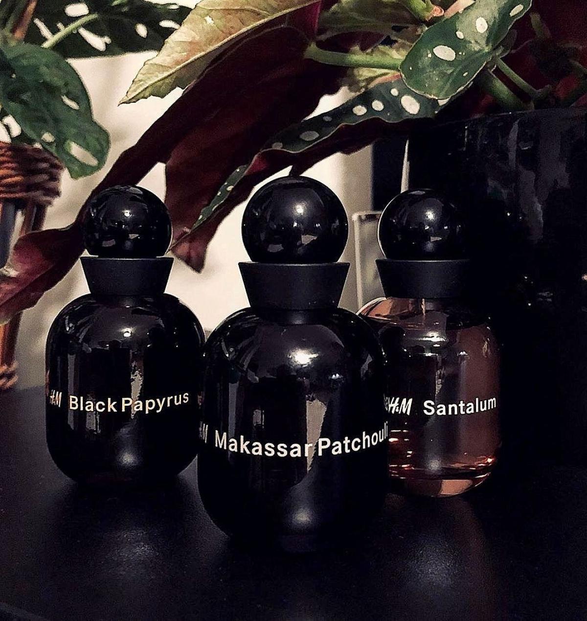 H&M Makassar Patchouli H&M perfume - a fragrance for women and men 2018