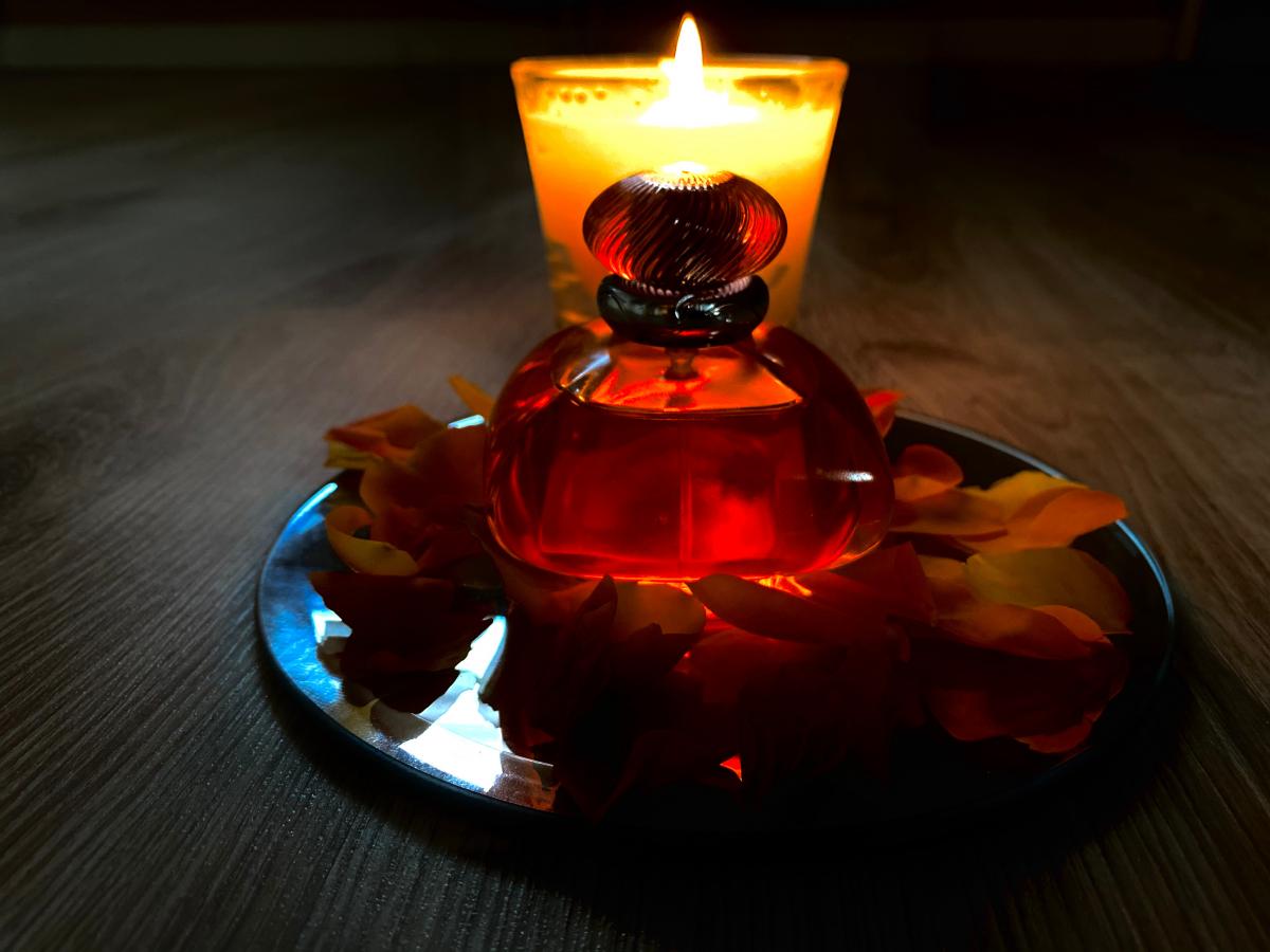 Felicity Oriflame perfume - a fragrance for women 2011