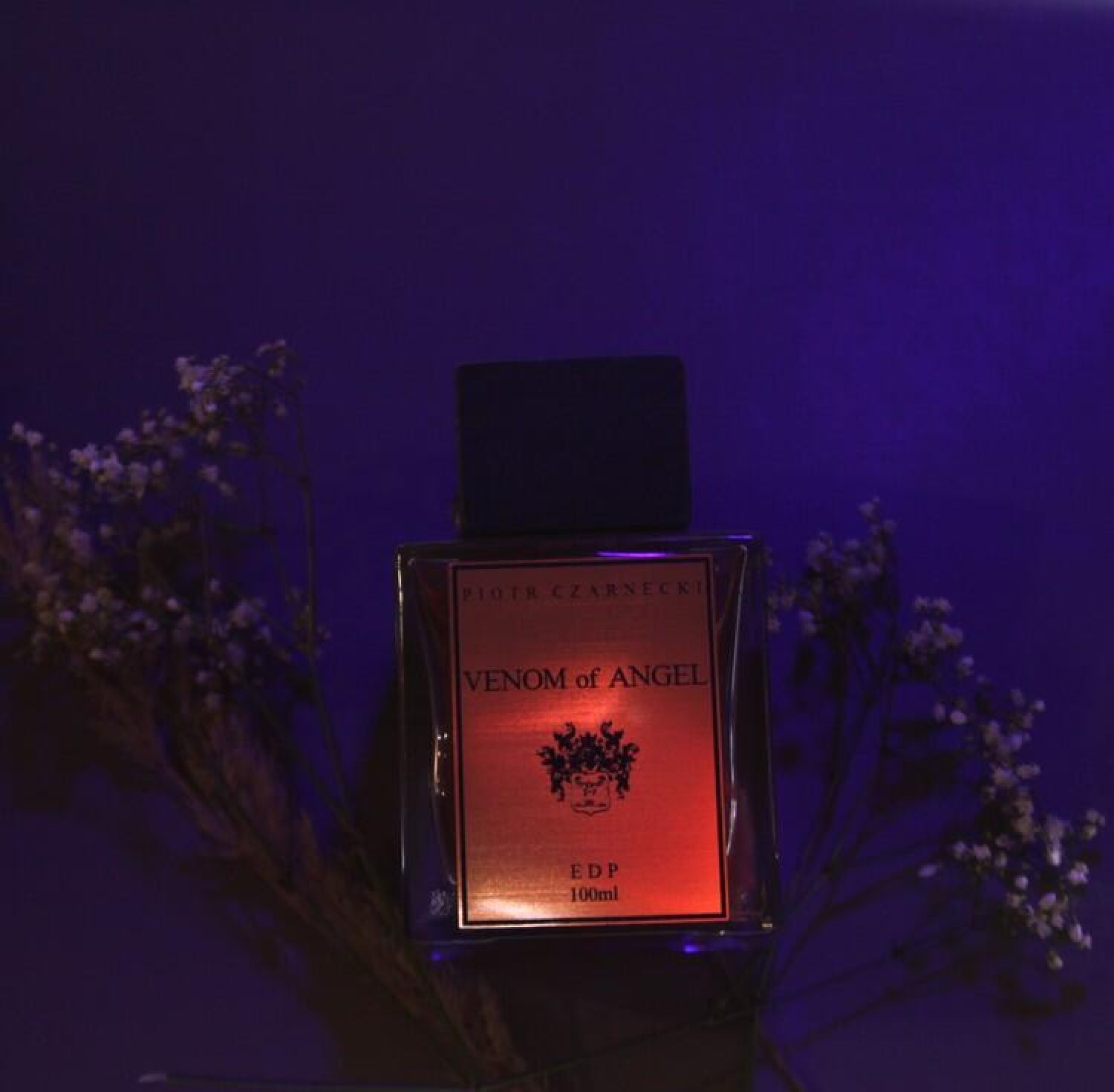 Venom of Angel Piotr Czarnecki عطر - a fragrance للجنسين 2017