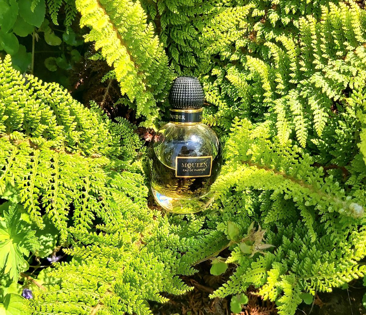 McQueen Eau de Parfum Alexander McQueen perfume - a fragrance for women ...