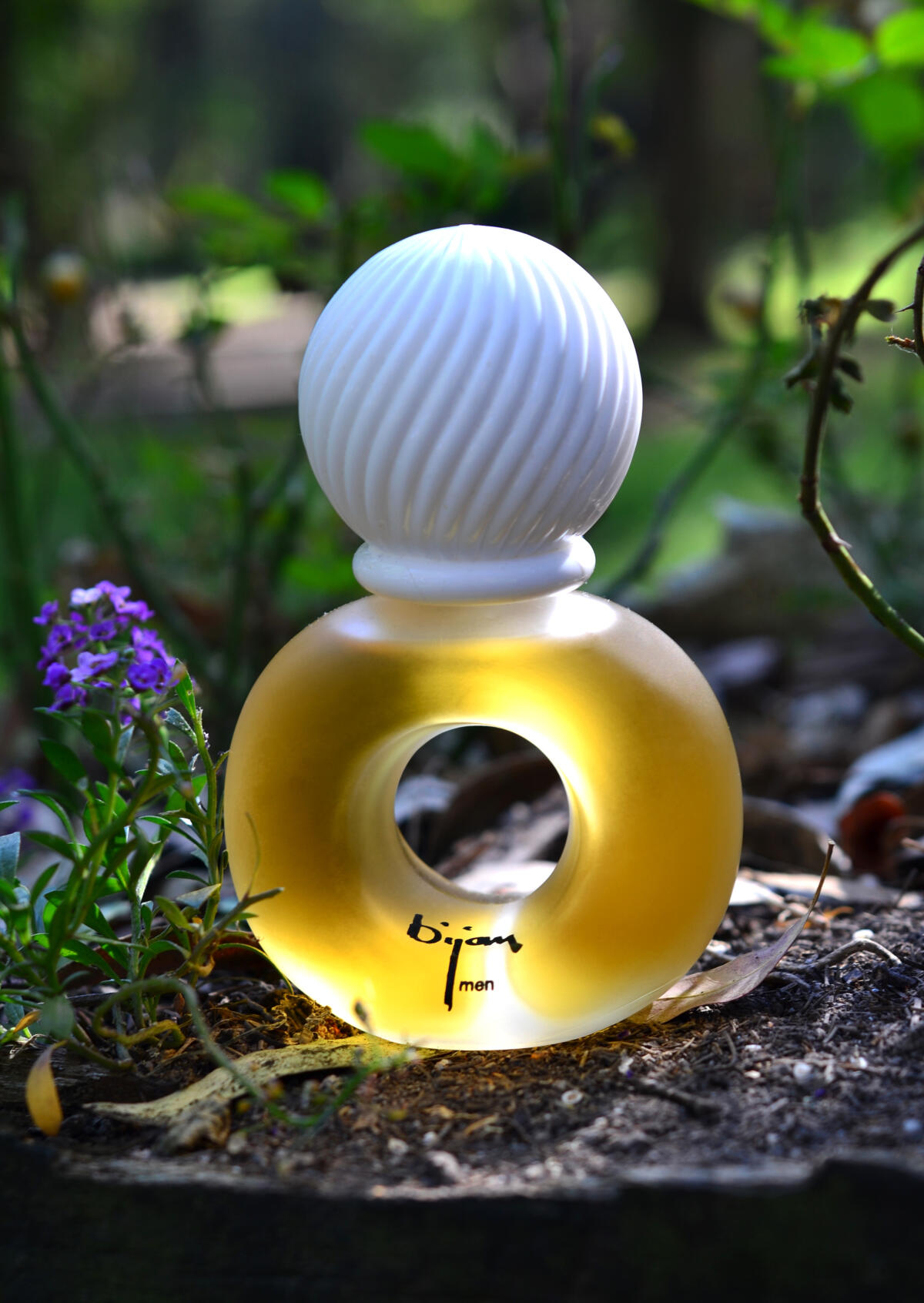 Bijan Men Bijan cologne - een geur voor heren 1987