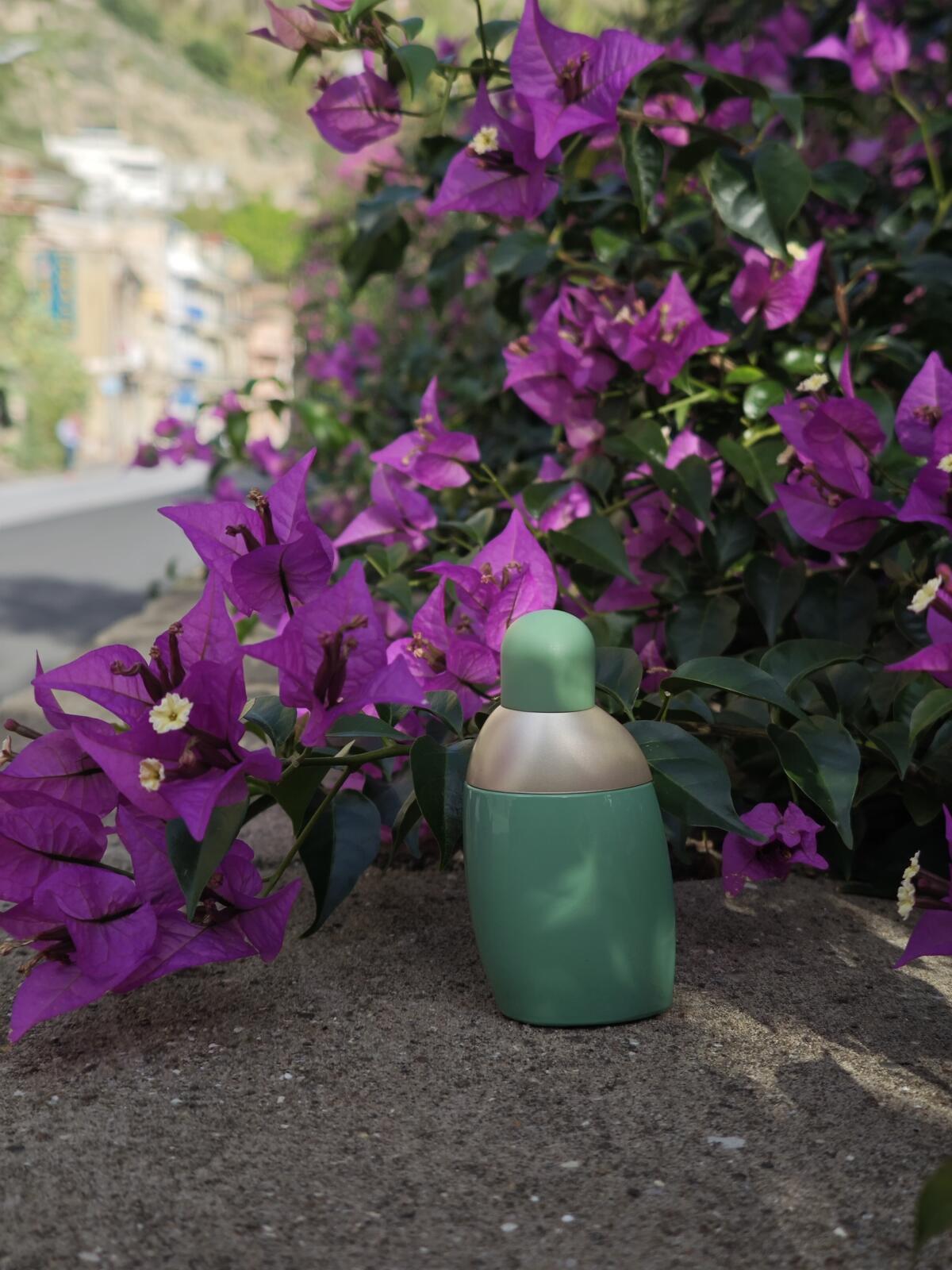 Eden Cacharel perfume - a fragrância Feminino 1994