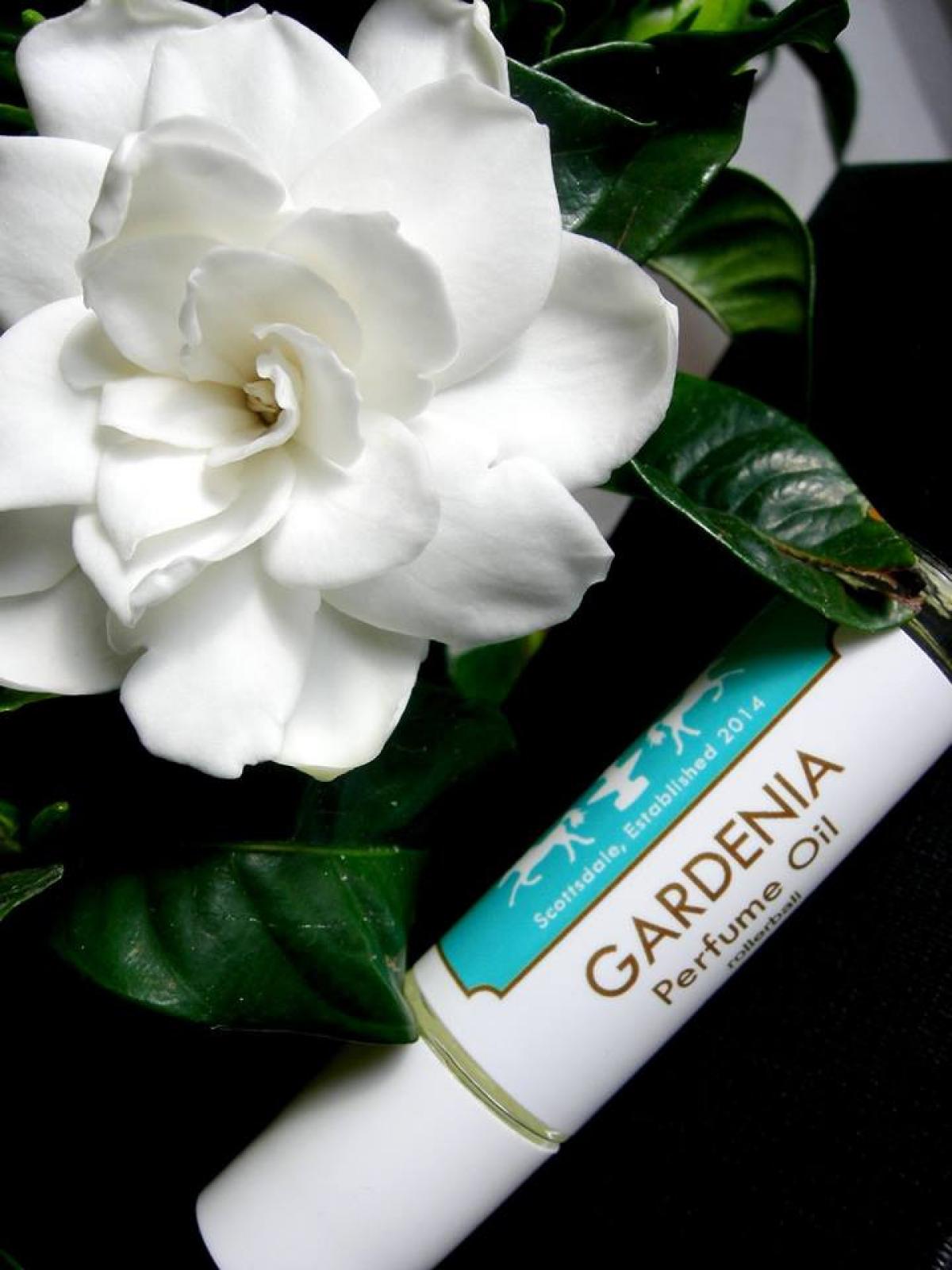 Soliflore Gardenia Dame Perfumery perfume - a fragrance for women and ...