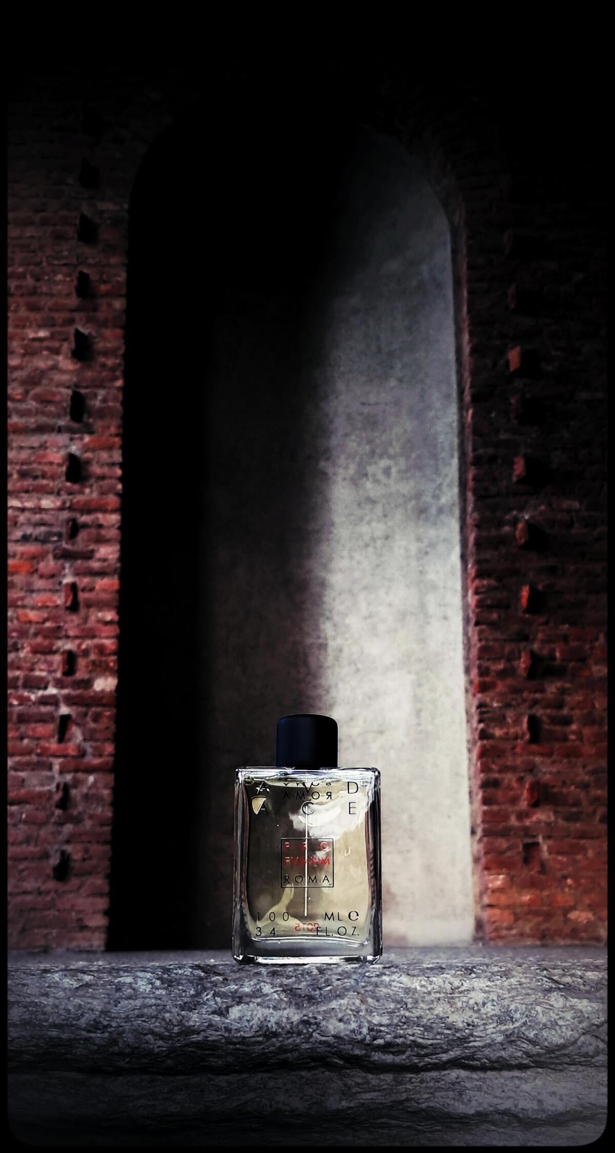 Audace Profumum Roma perfume - a fragrance for women and men 2015