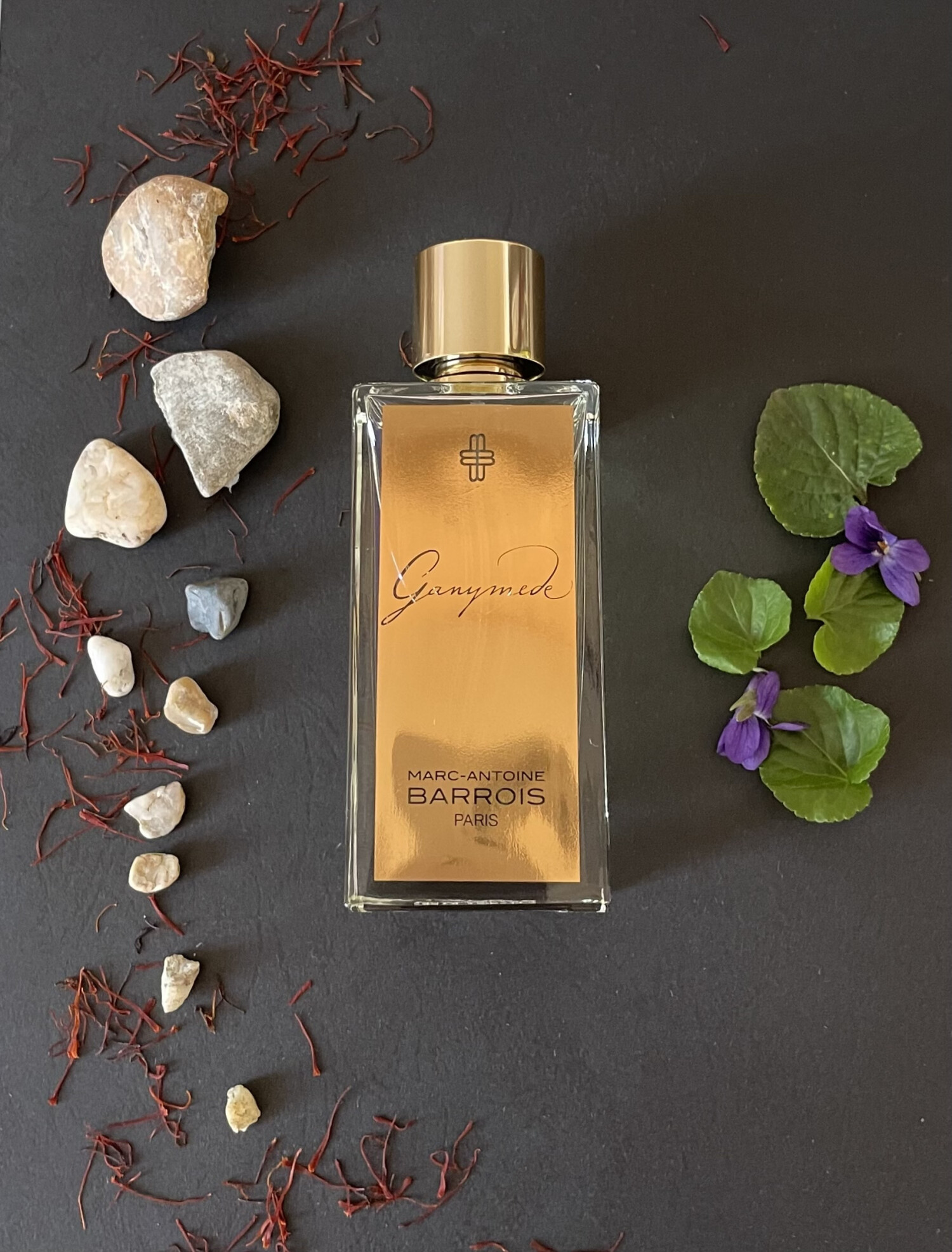 Ganymede Marc-Antoine Barrois perfume - a fragrance for women and men 2019