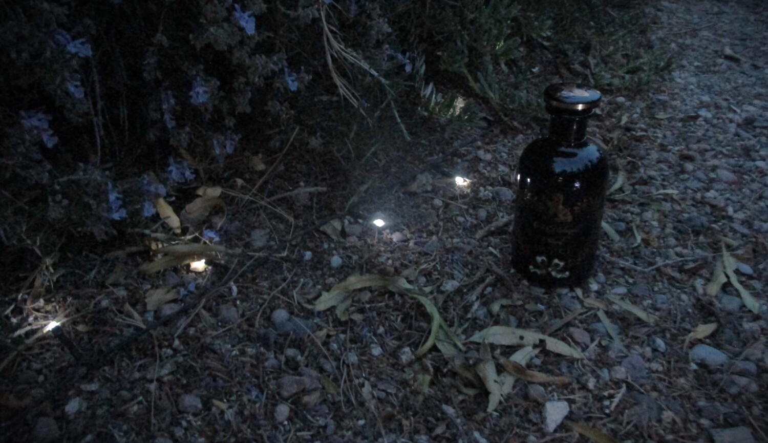 A Midnight Stroll Gucci perfume - a fragrance for women and men 2020