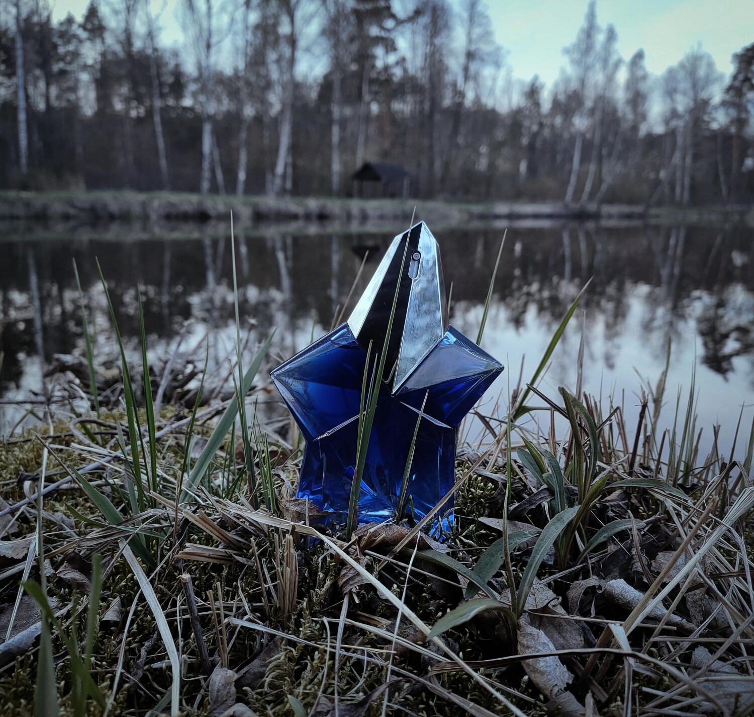 Angel Stellar Mugler fragancia - una nuevo fragancia para Mujeres 2025