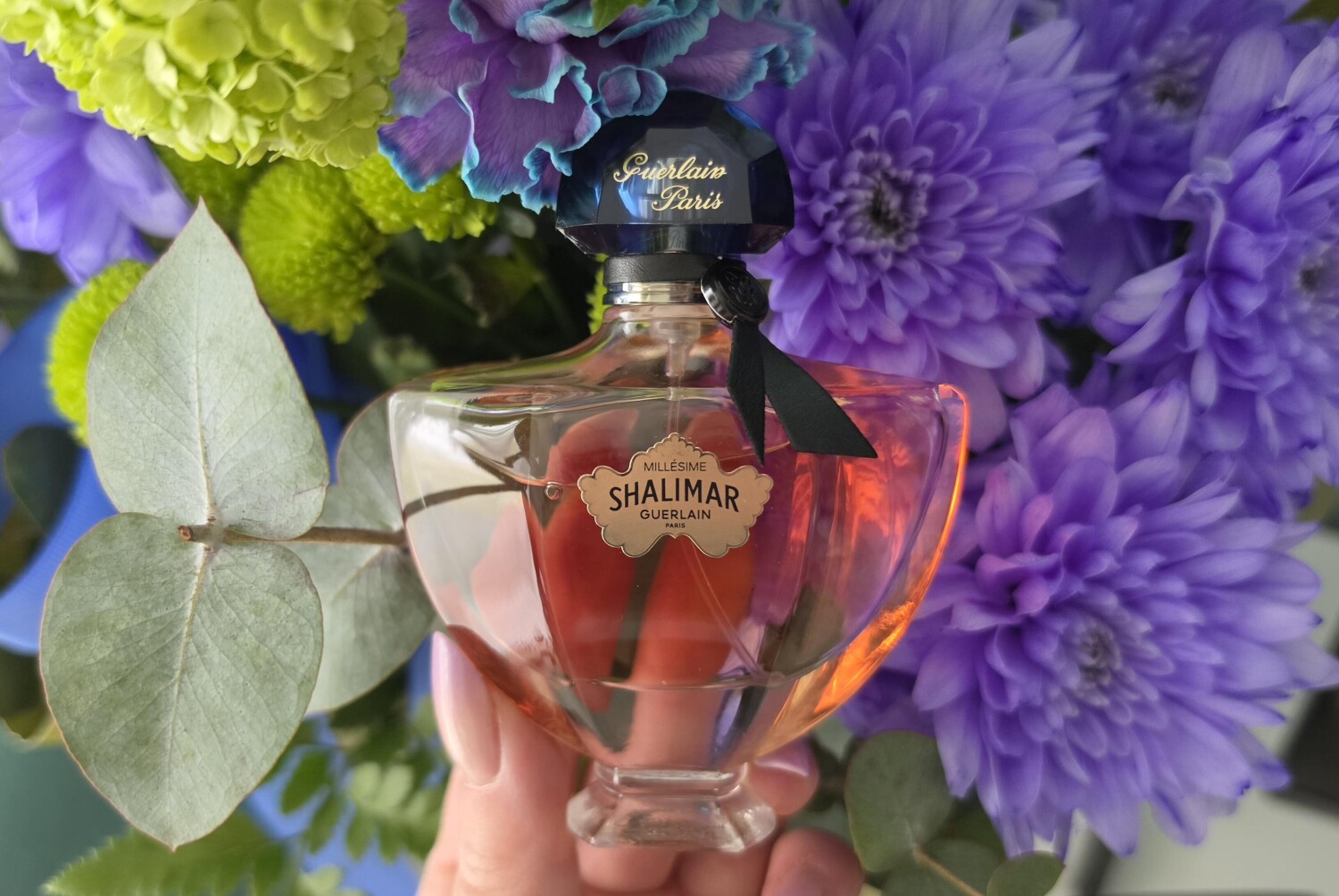Shalimar Millesime Rose Guerlain perfume - a new fragrance for women 2026