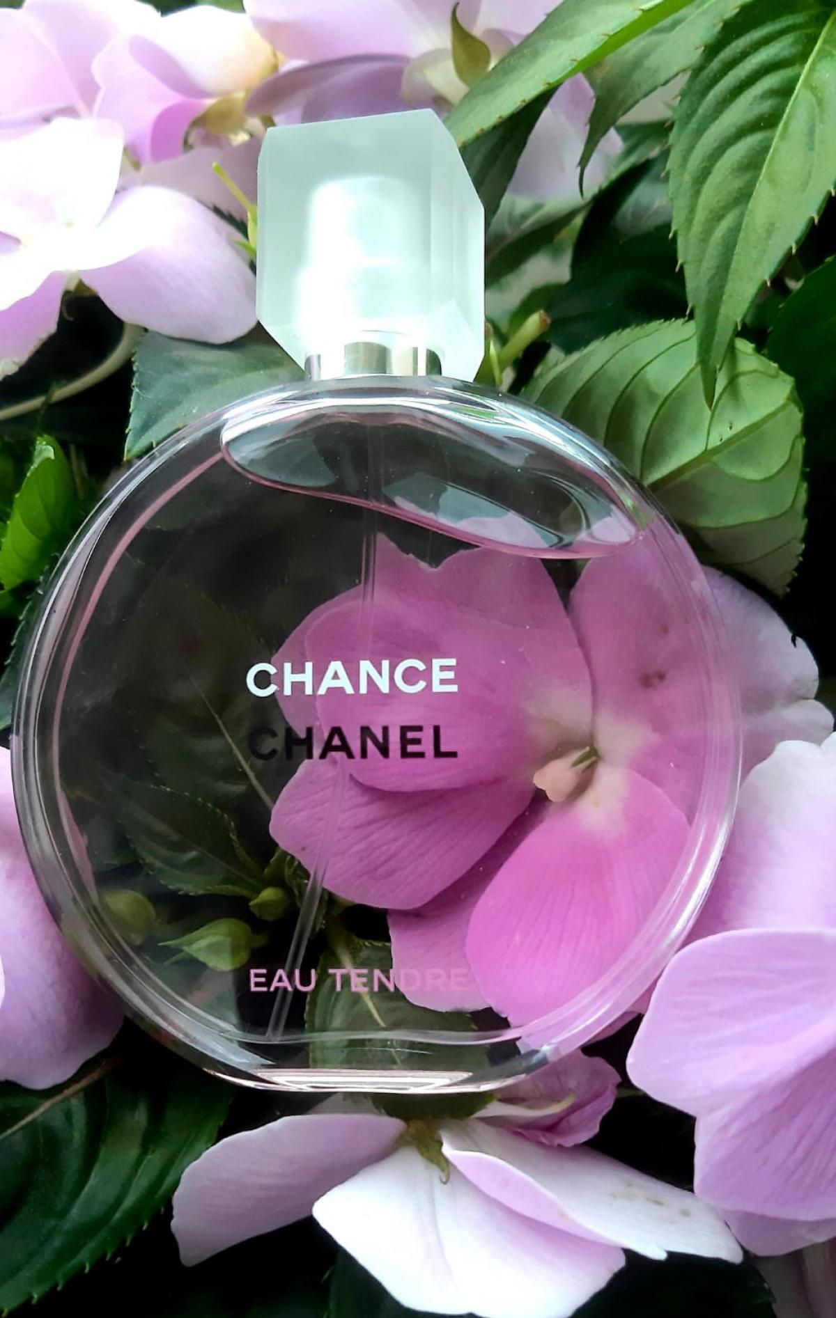 Chance Eau Tendre Chanel perfume - a fragrance for women 2010