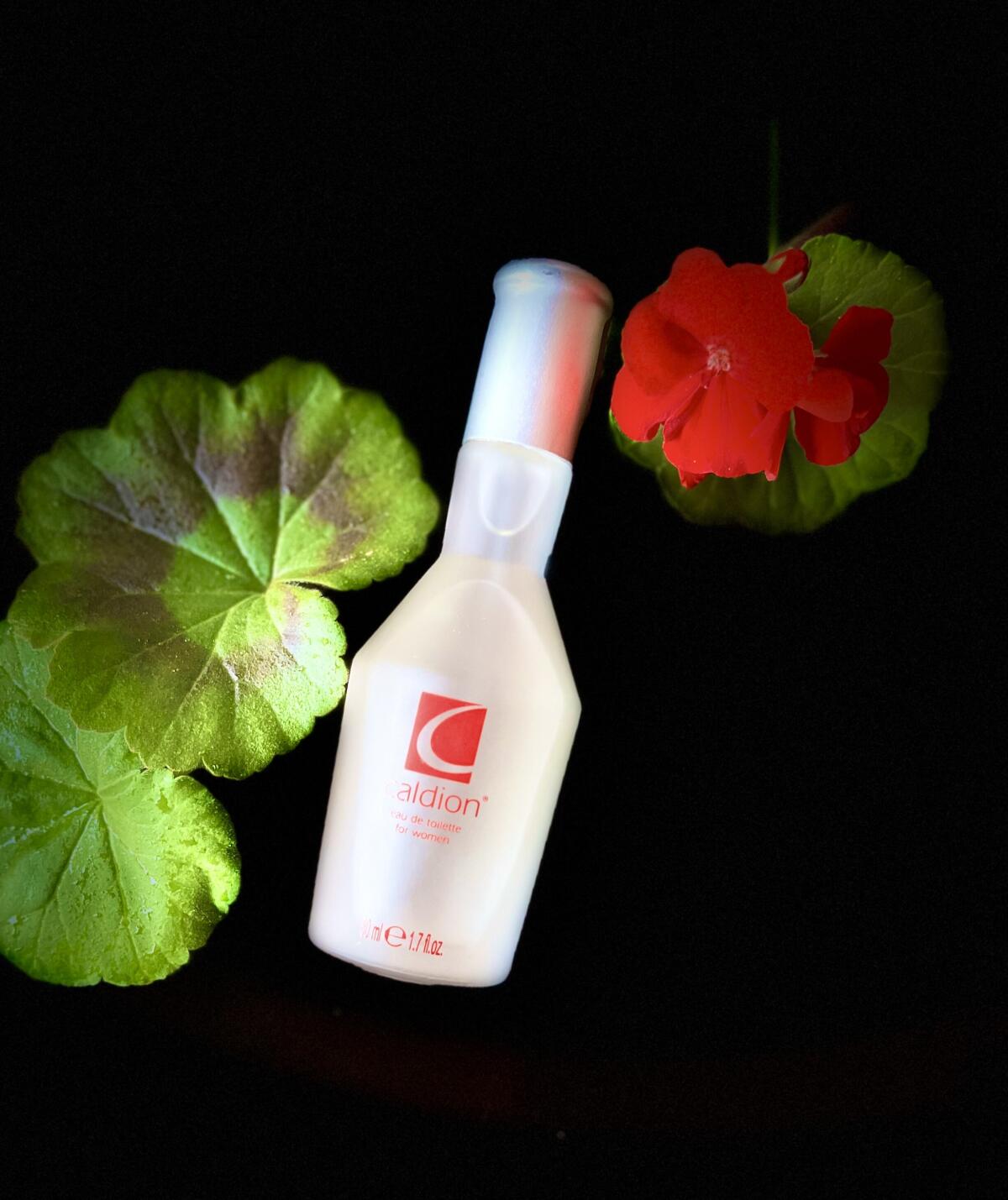 Caldion for Women Hunca аромат — аромат для женщин 2011