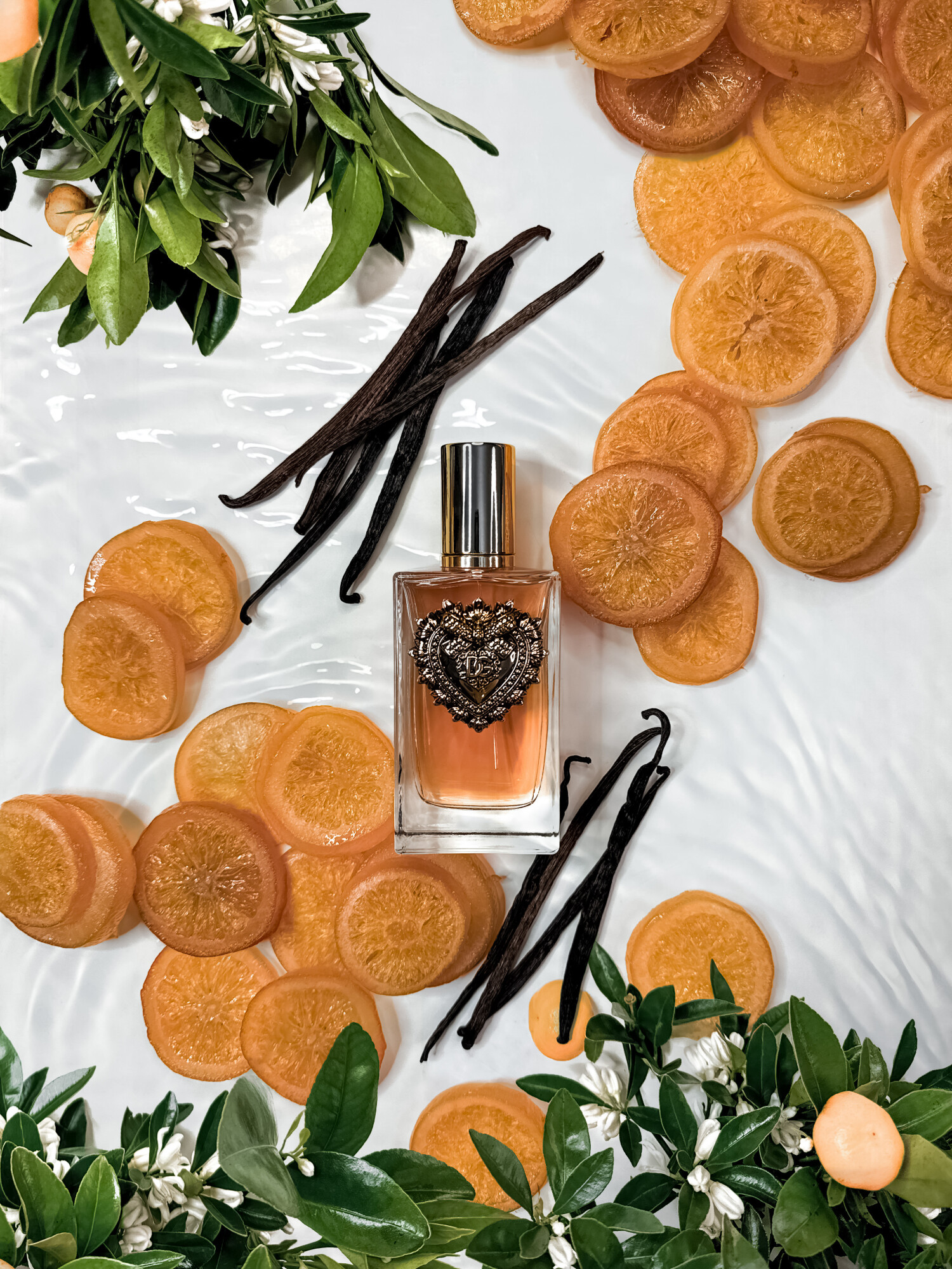 Devotion Dolce&Gabbana perfume - a new fragrance for women 2023