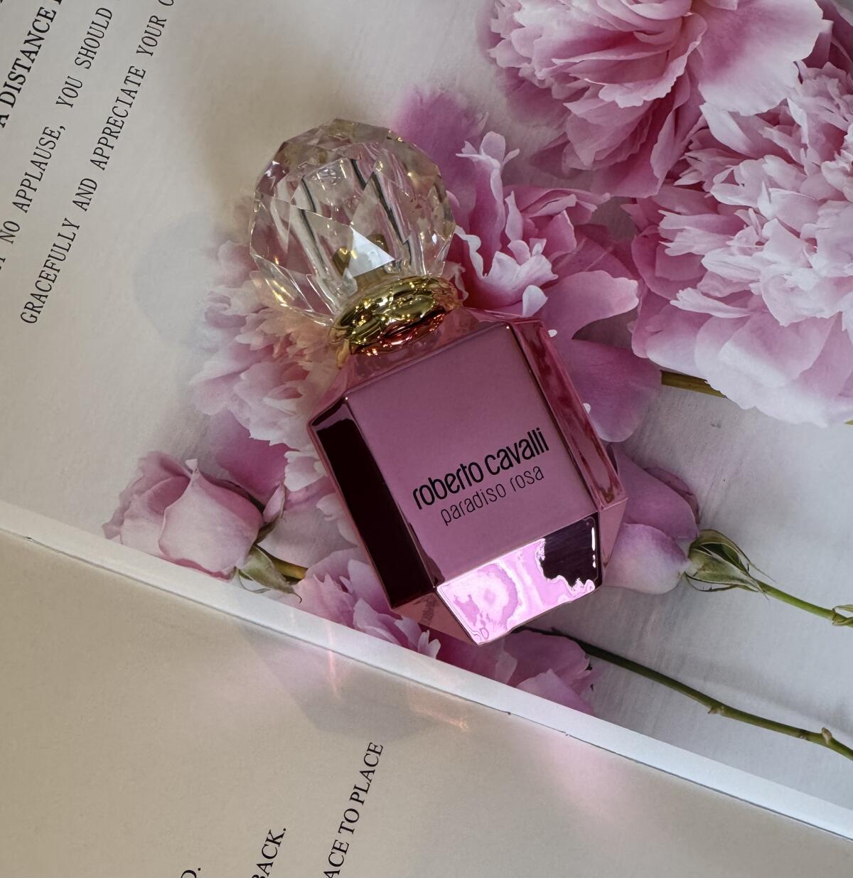 Paradiso Rosa Roberto Cavalli perfume - a new fragrance for women 2025