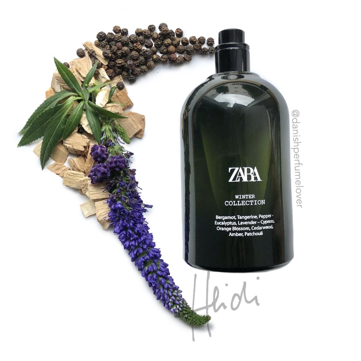 Winter Collection Zara cologne - a fragrance for men 2018