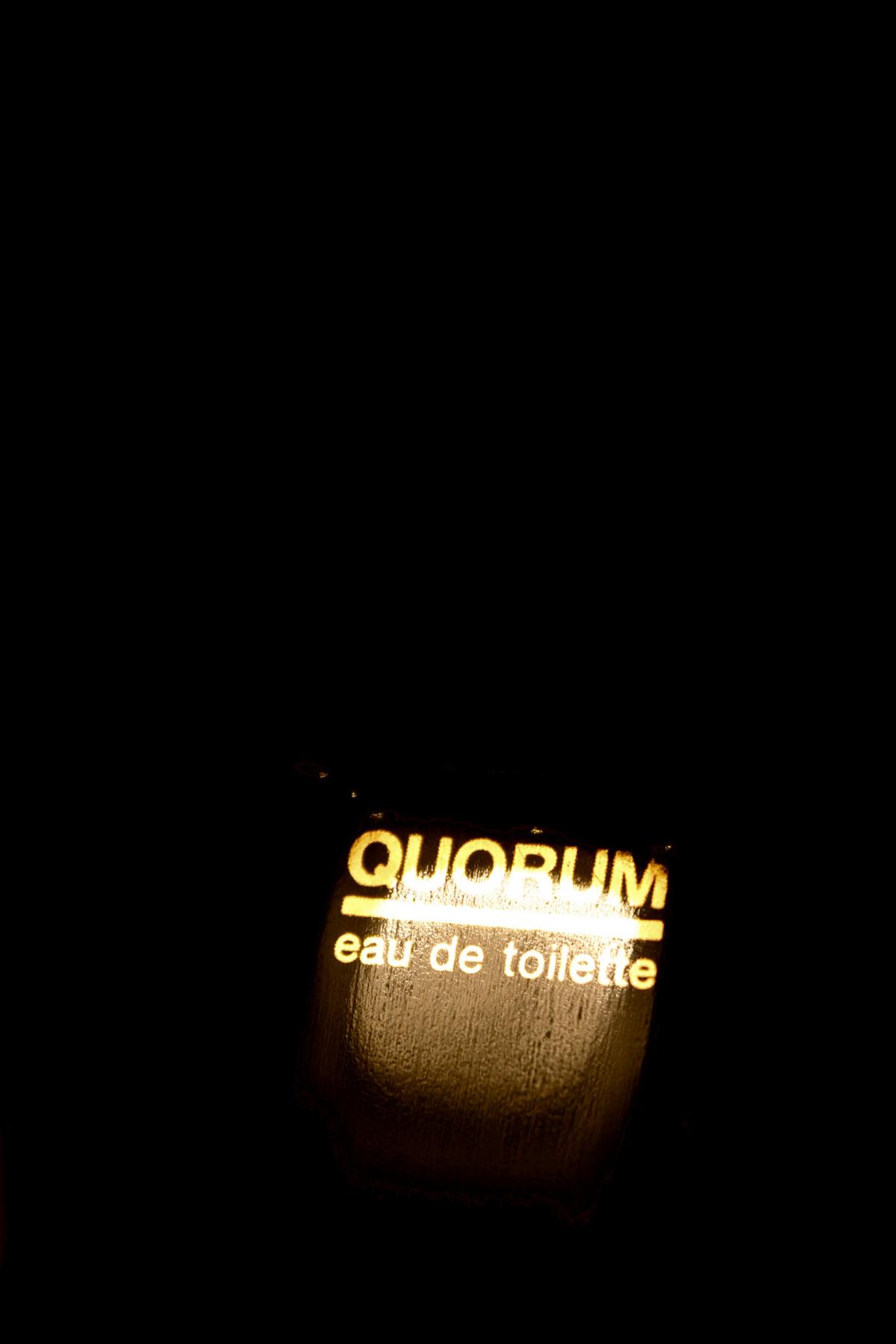 Quorum Antonio Puig cologne - a fragrance for men 1981