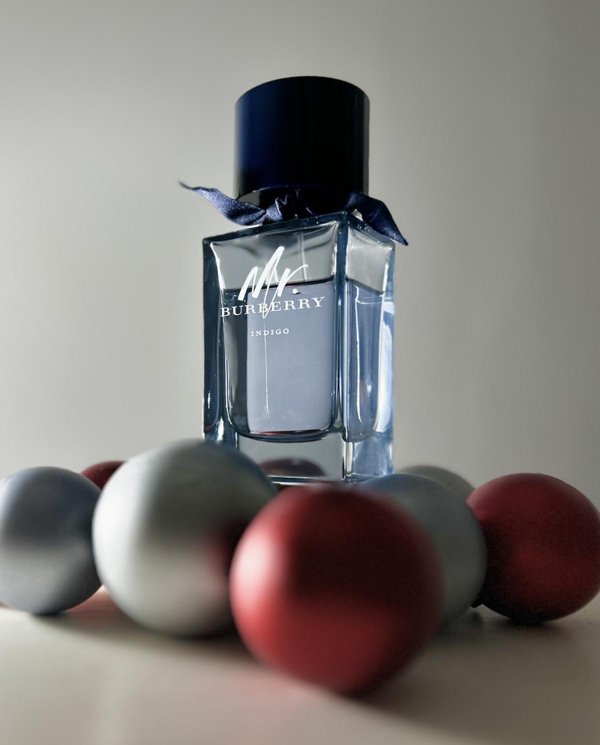 Mr. Burberry Indigo Burberry cologne - a fragrance for men 2018