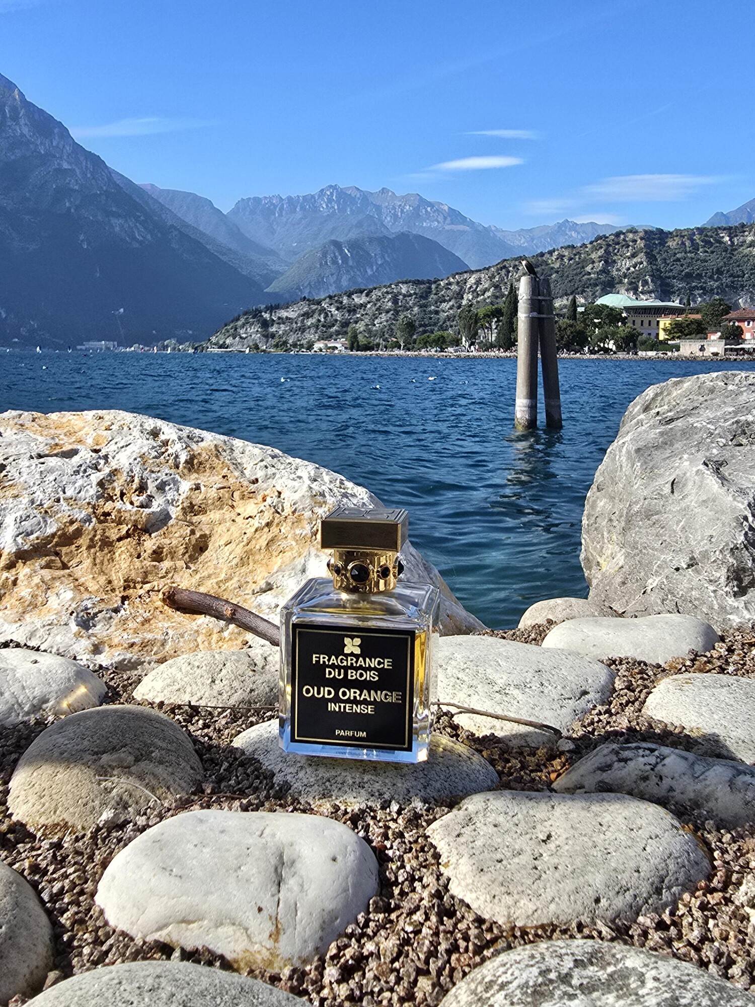 Oud Orange Intense Fragrance Du Bois perfume - a fragrance for women ...