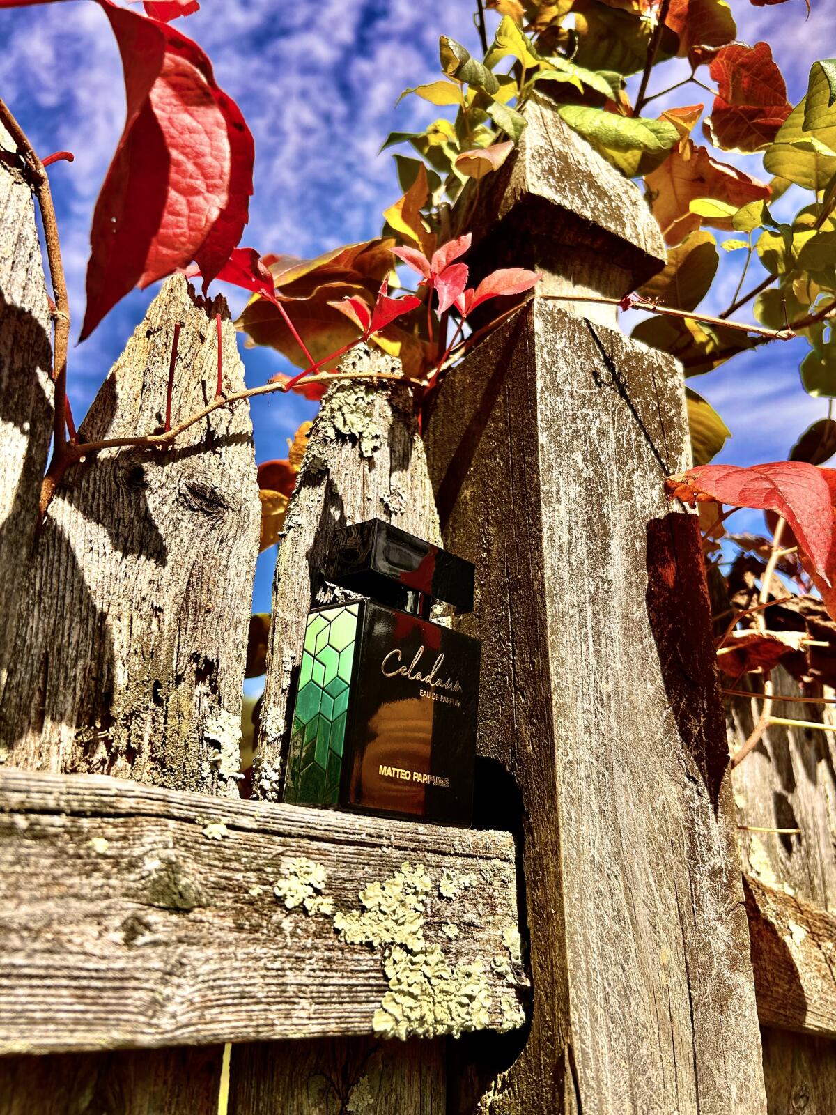 Celadawn Matteo Parfums perfume - a fragrance for women and men 2019