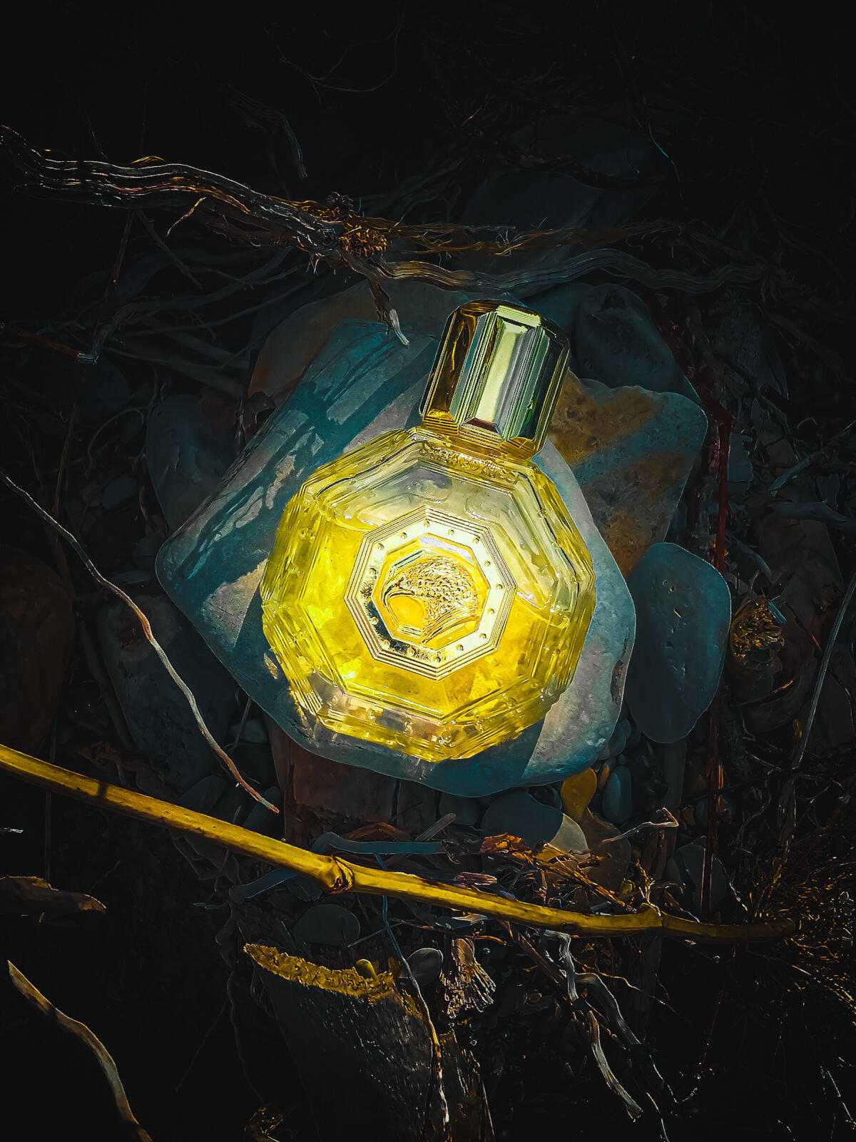 Royal Eagle Gold Stefano Ricci cologne - a fragrance for men