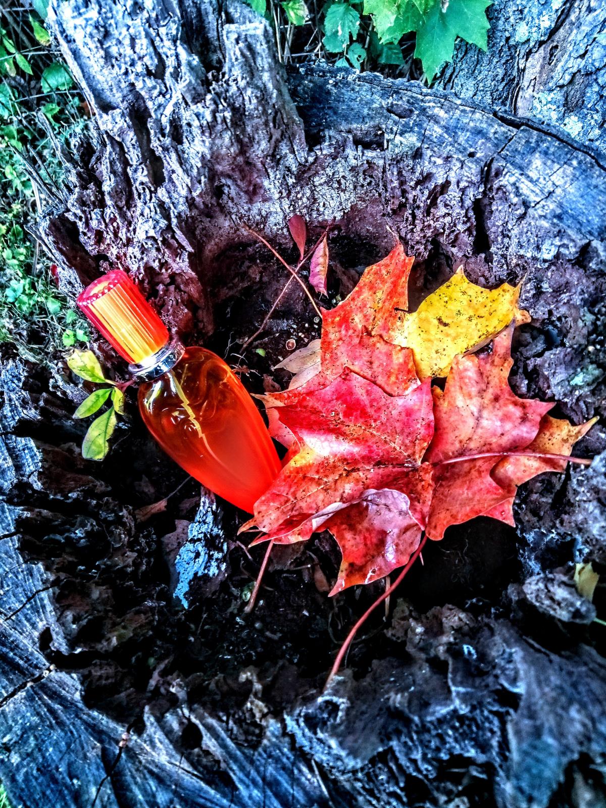 Sunset Heat Escada perfume - a fragrance for women 2007