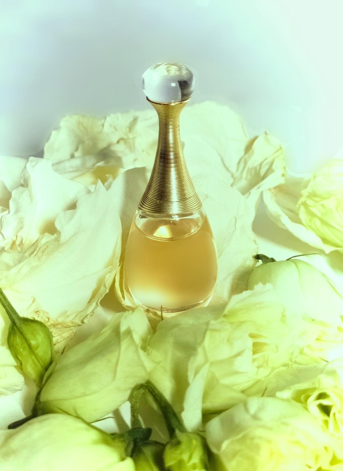 J'Adore Infinissime Dior perfume - a fragrance for women 2020