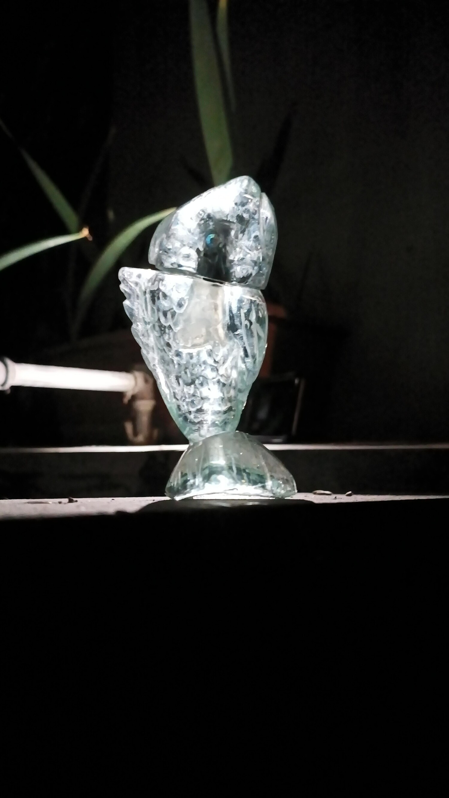 He Is Fish House of Atropa perfume - a fragrance for women and men 2024