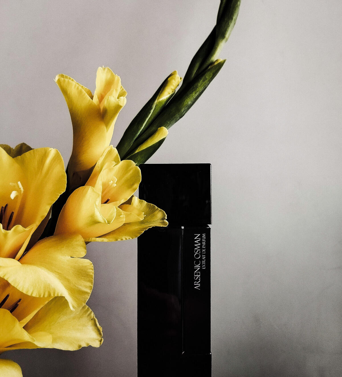 Arsenic Osman Laurent Mazzone Parfums perfume - a fragrance for women ...