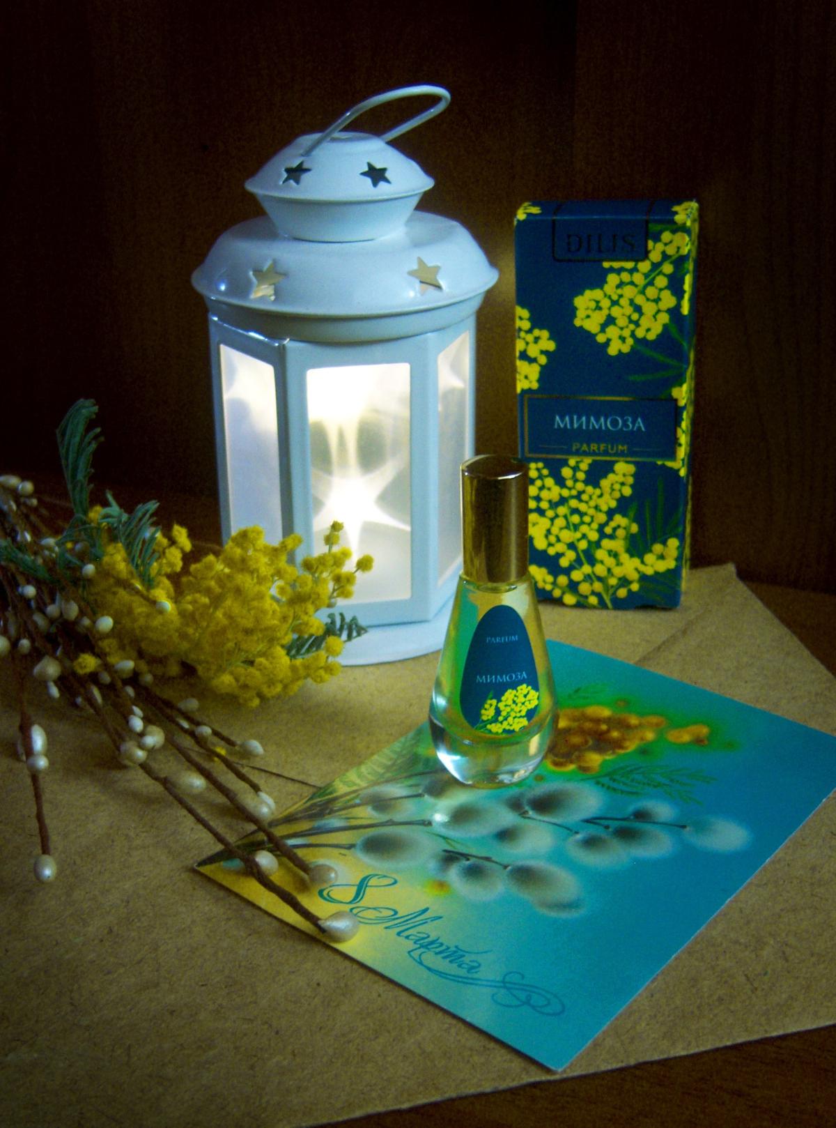Mimoza Dilís Parfum perfume - a fragrance for women 2006