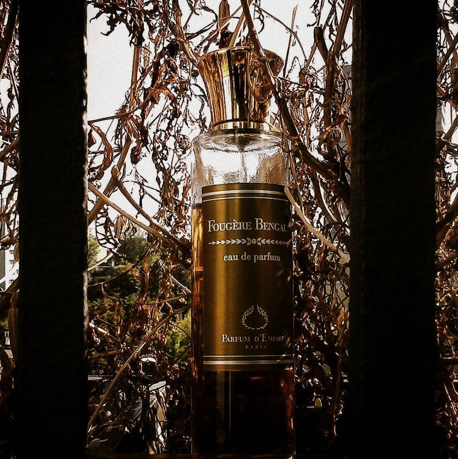 Fougere Bengale Parfum d'Empire cologne - a fragrance for men 2007