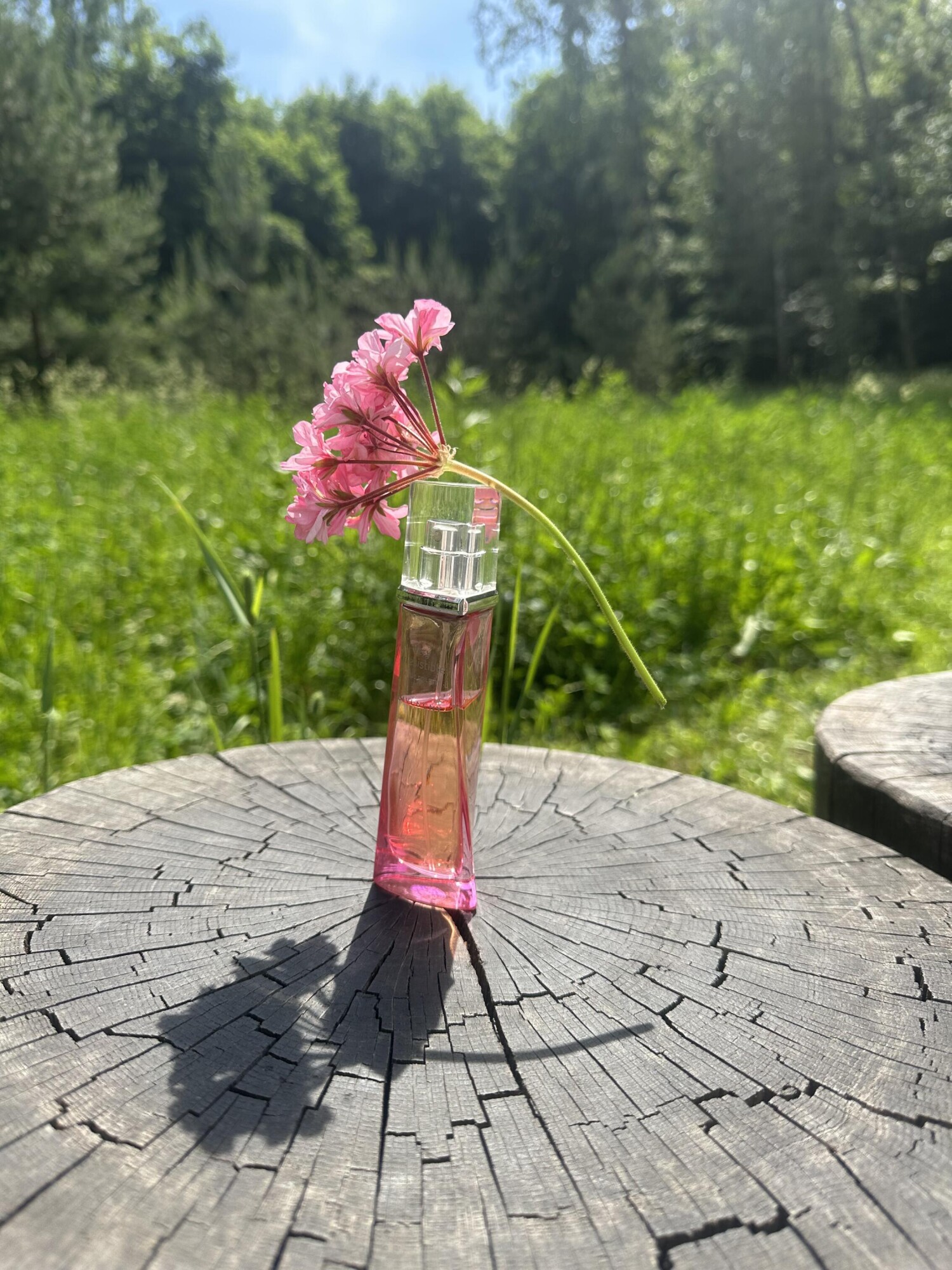 Very Irresistible Eau de Parfum Givenchy perfume - a fragrance for ...