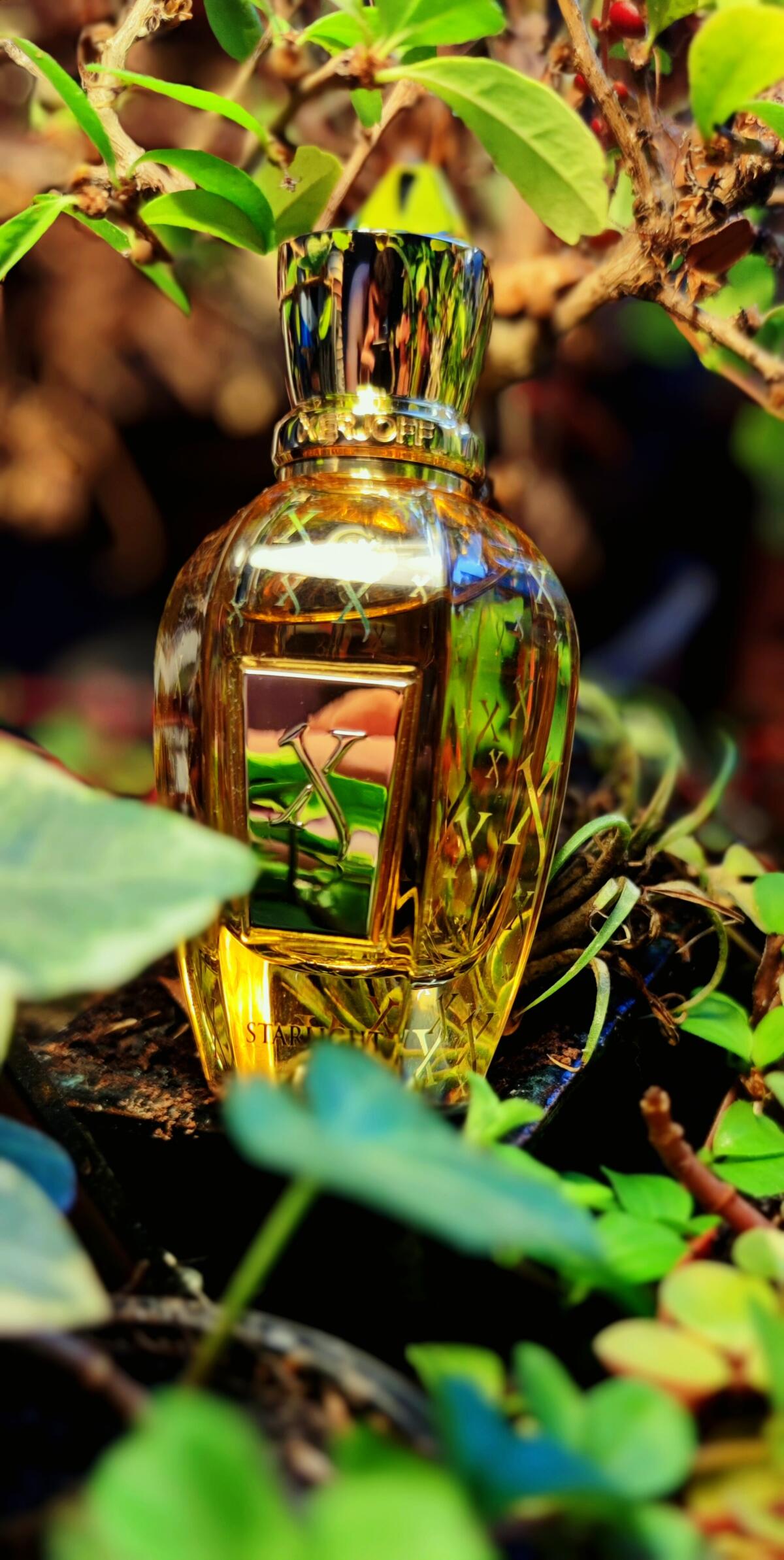 Starlight Xerjoff perfume - a fragrance for women and men 2019