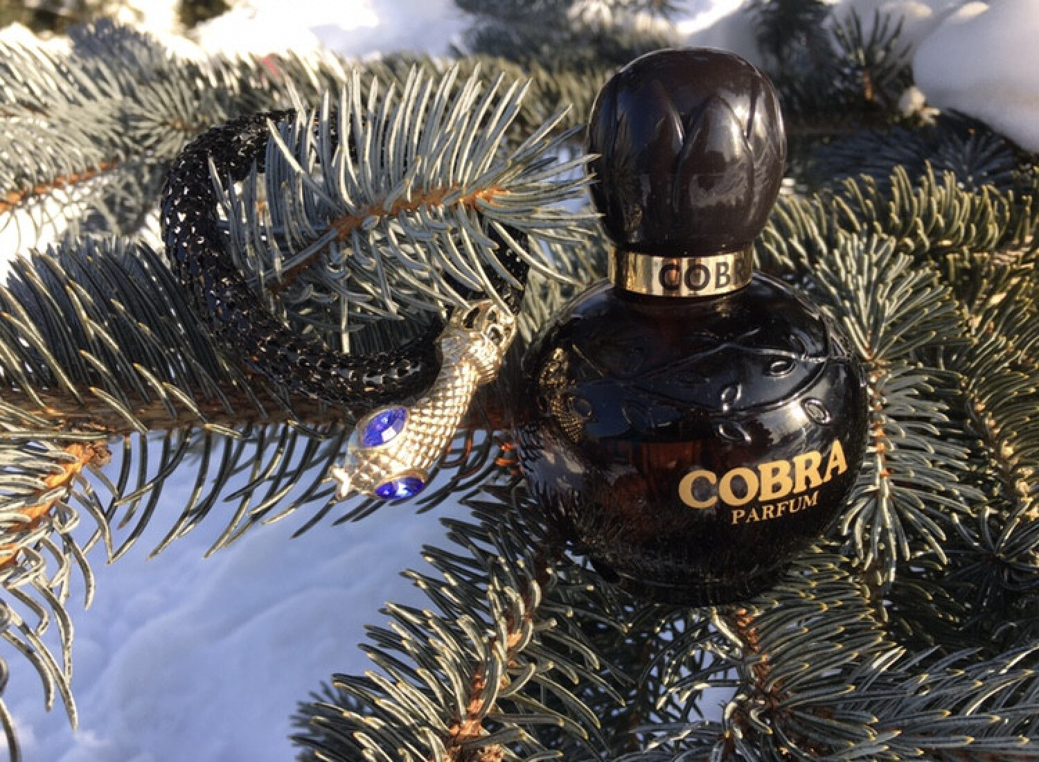 Cobra Jeanne Arthes perfume - a fragrance for women