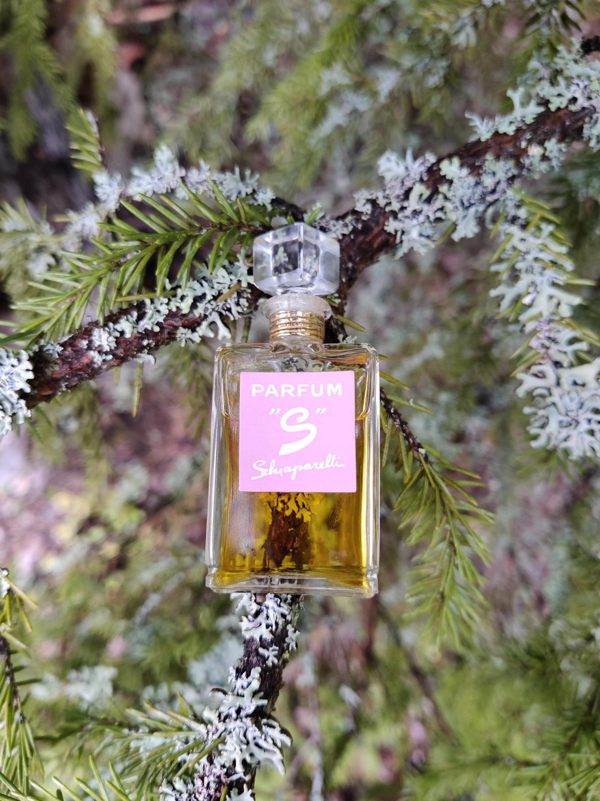 S Schiaparelli perfume - a fragrance for women and men 1928