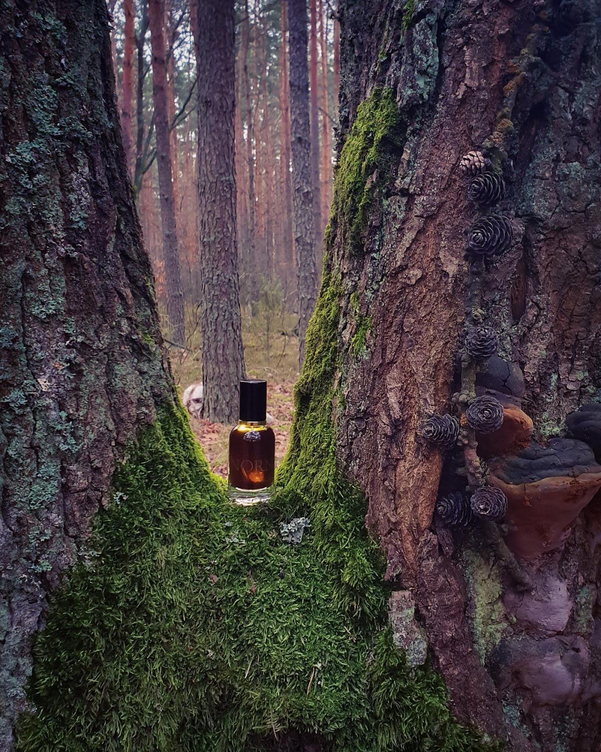 Norne Slumberhouse perfume - a fragrance for women and men 2012