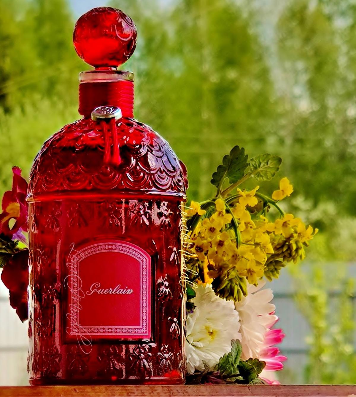 Mon Guerlain Guerlain perfume - a fragrance for women 2017