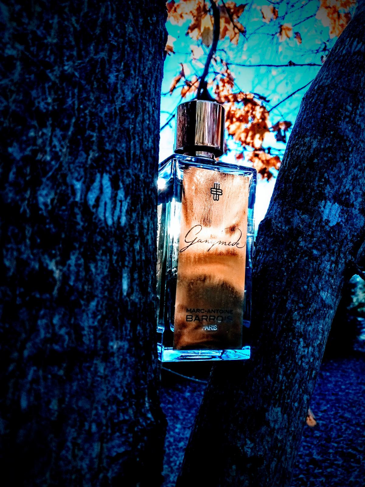 Ganymede Marc-Antoine Barrois perfume - a fragrance for women and men 2019