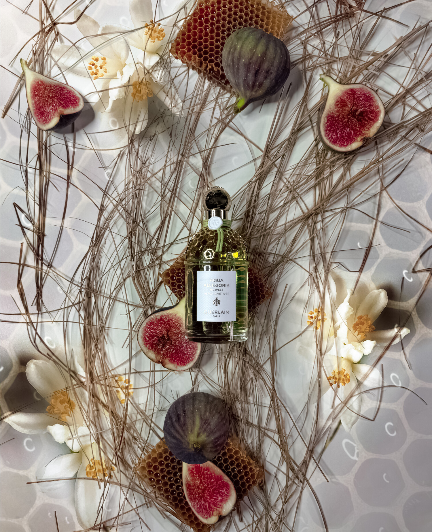 Nerolia Vetiver Harvest Guerlain perfume - a fragrance for women and ...